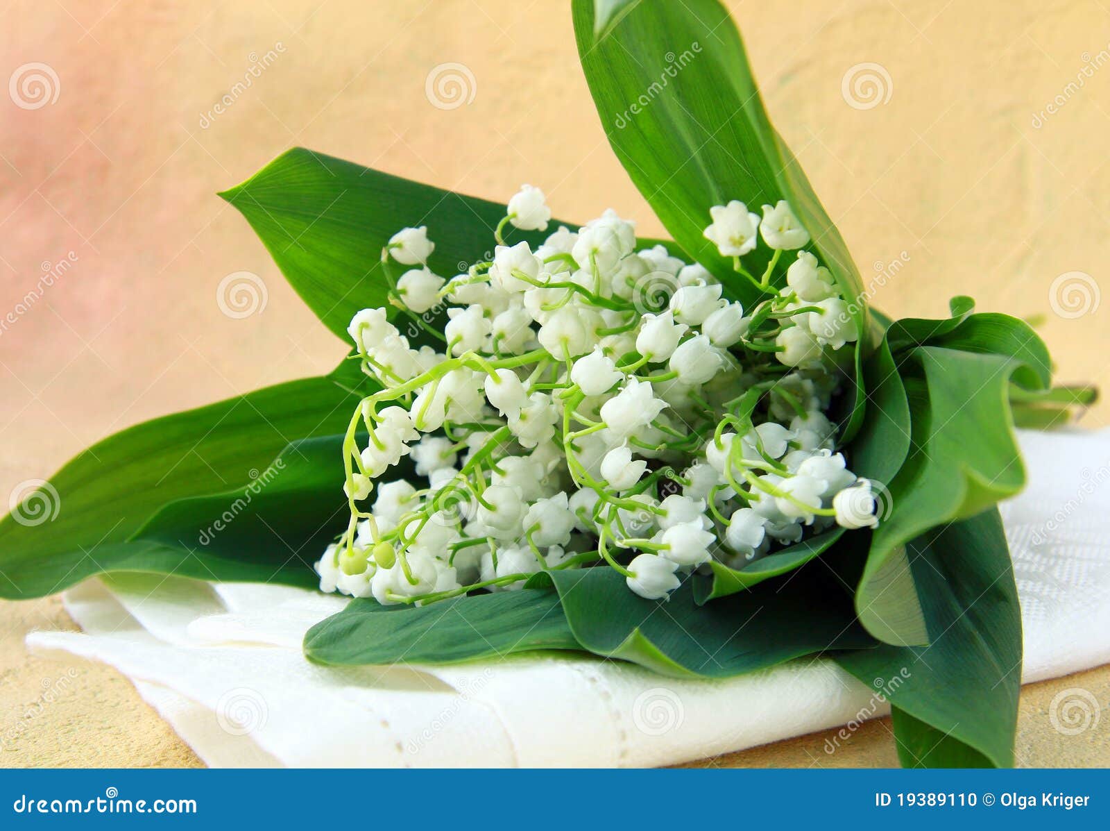 Bunch of Lily of the Valley Stock Photo - Image of floristic, peace ...
