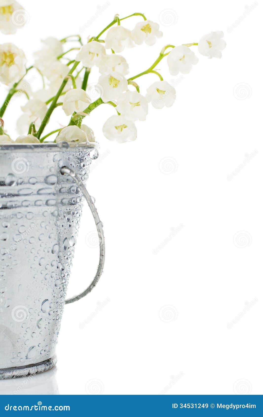 Bunch of Lily of the Valley in a Bucket Stock Image - Image of bucket ...