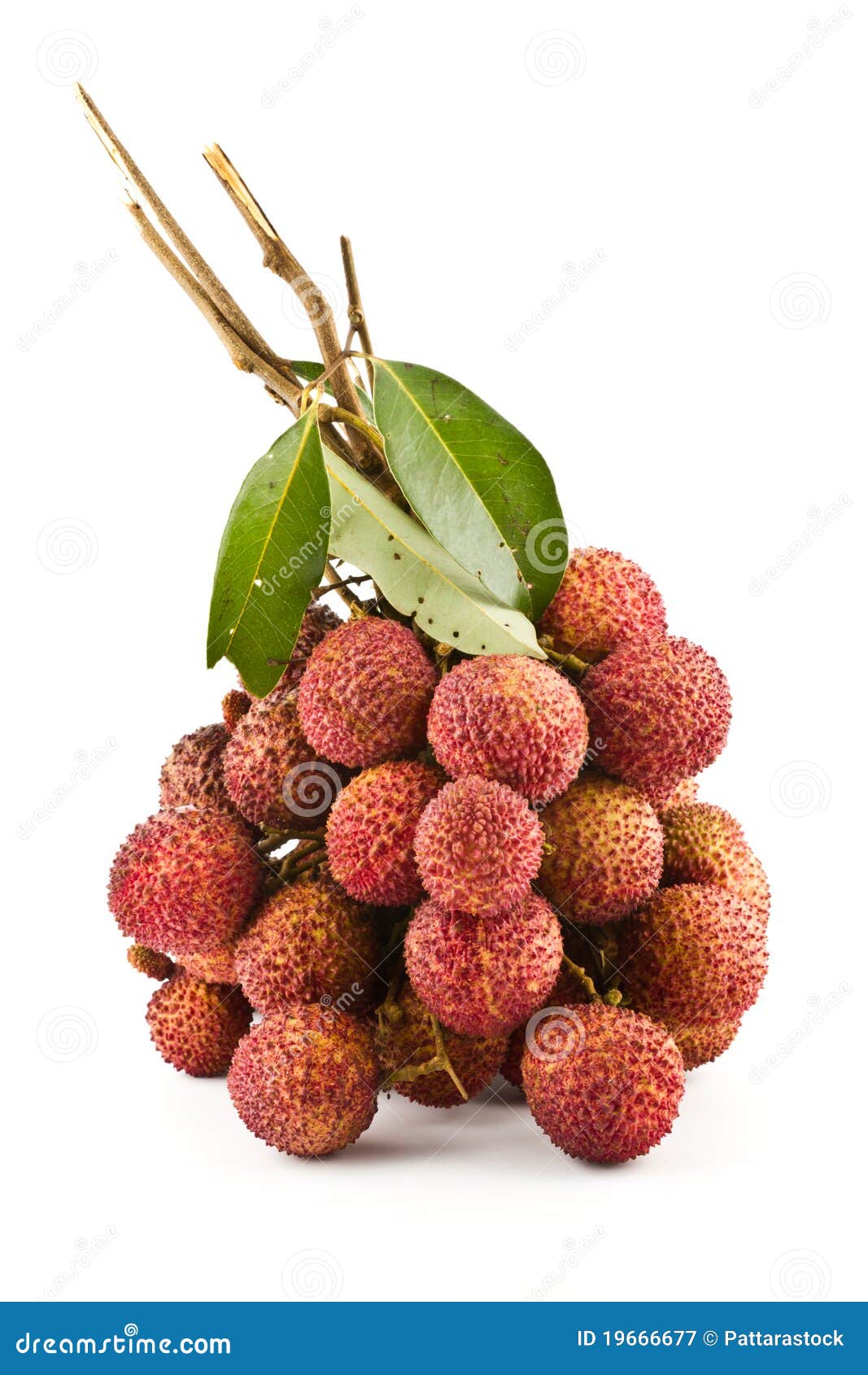 Bunch of litchi stock image. Image of leechee, litchee - 19666677