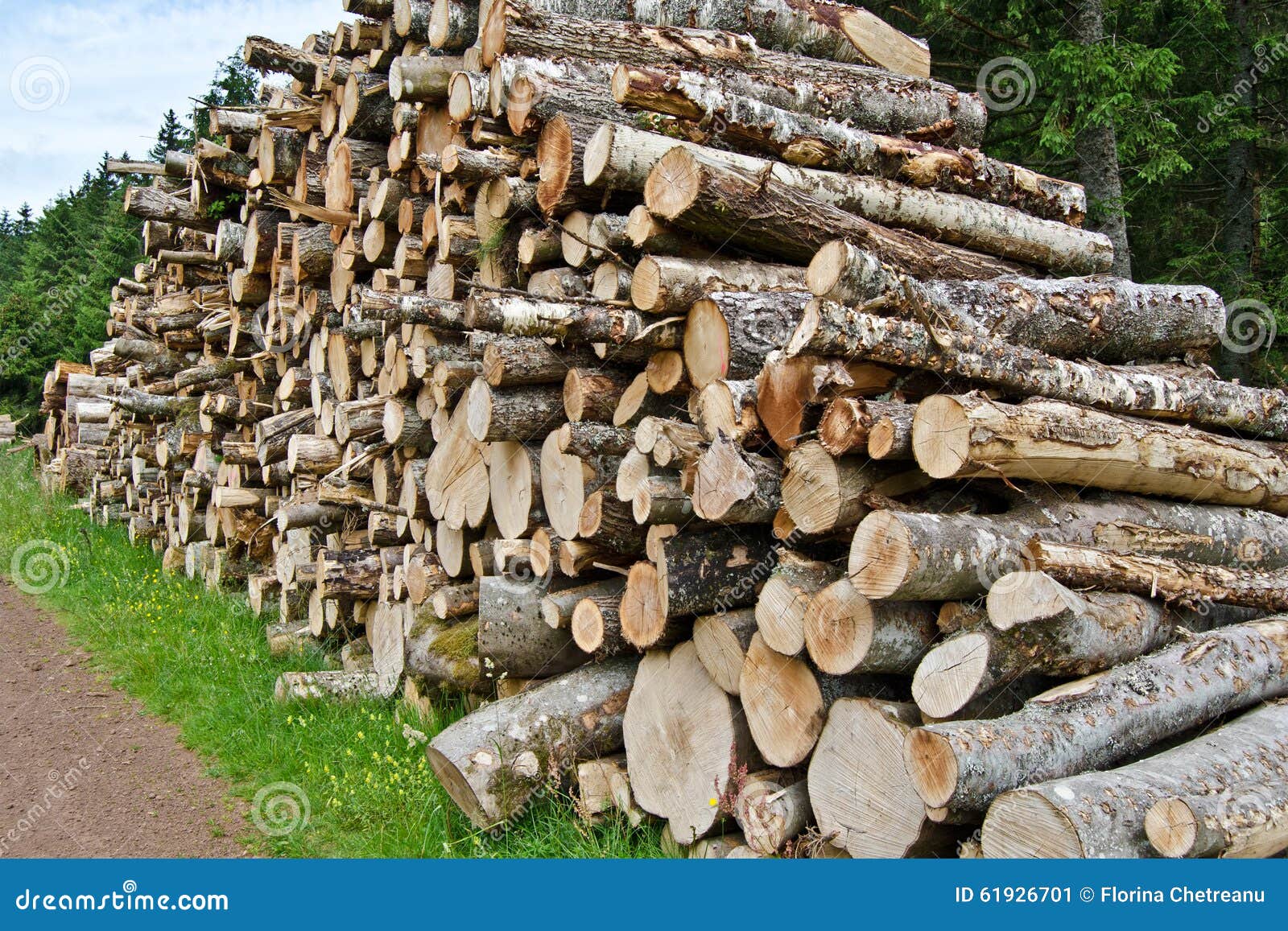 Bunch of logs stock image. Image of wood, natural, firewood - 61926701