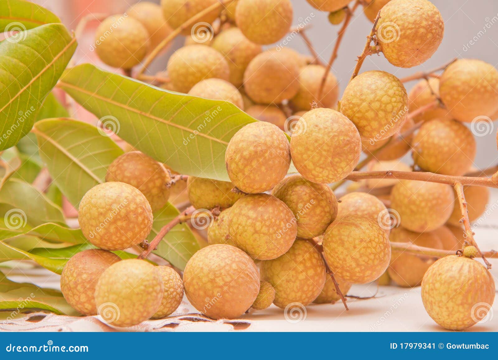 Bunch of longans stock image. Image of mauritius, food - 17979341