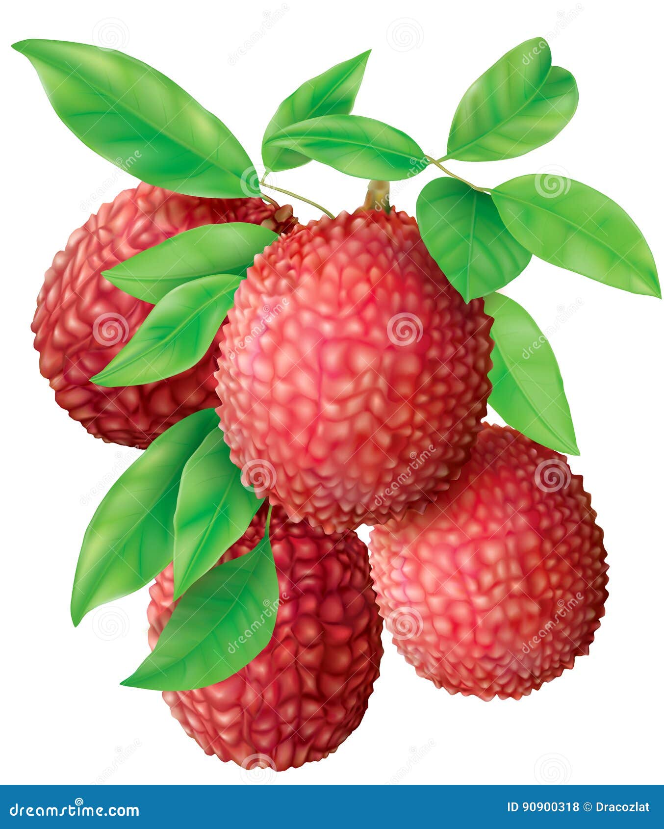 Bunch Of Lychee Fruits Vector Illustration | CartoonDealer.com #90900318