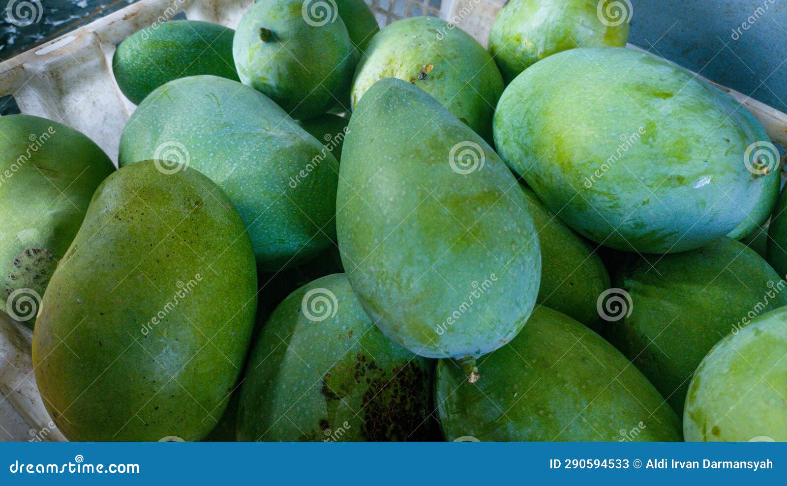 Bunch of Mangoes in a Basket Stock Image - Image of isolated, flesh ...