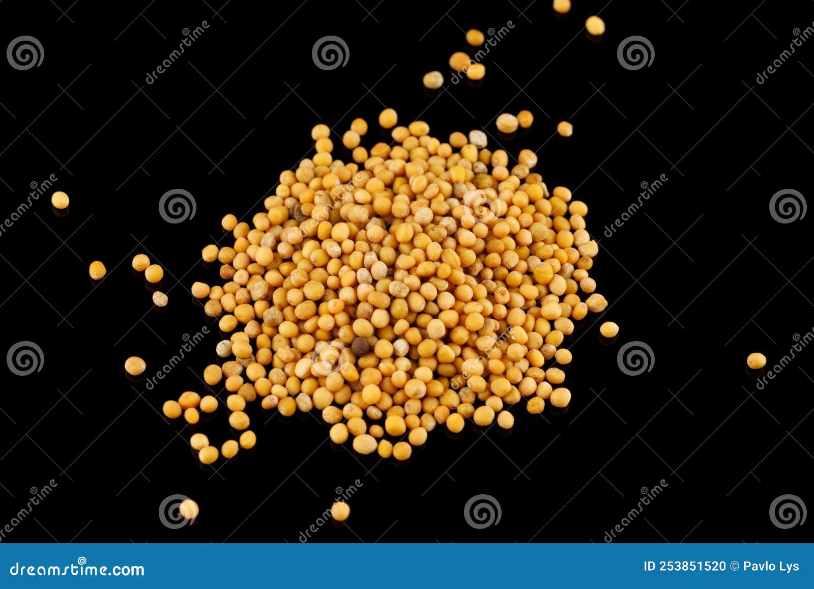 Bunch of Millet on a Black Background Stock Photo - Image of grain ...