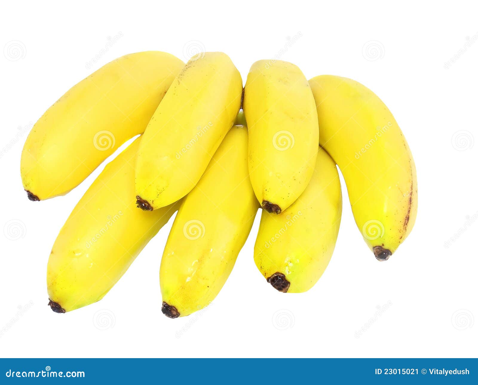 Bunch of Mini-bananas .Isolated Stock Image - Image of banana, bundle ...