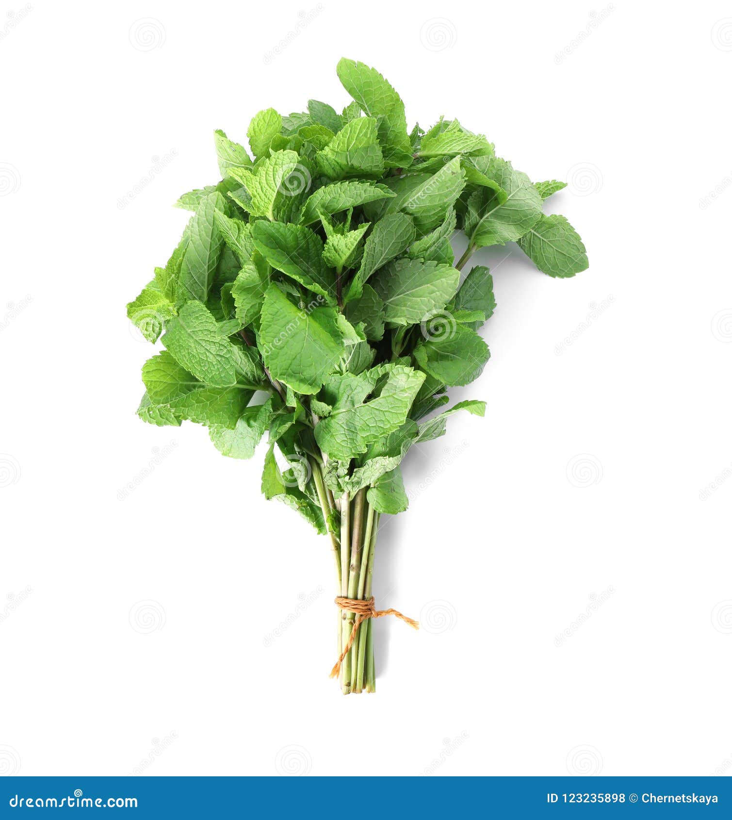 Bunch of Mint on White Background, Top View Stock Photo - Image of ...