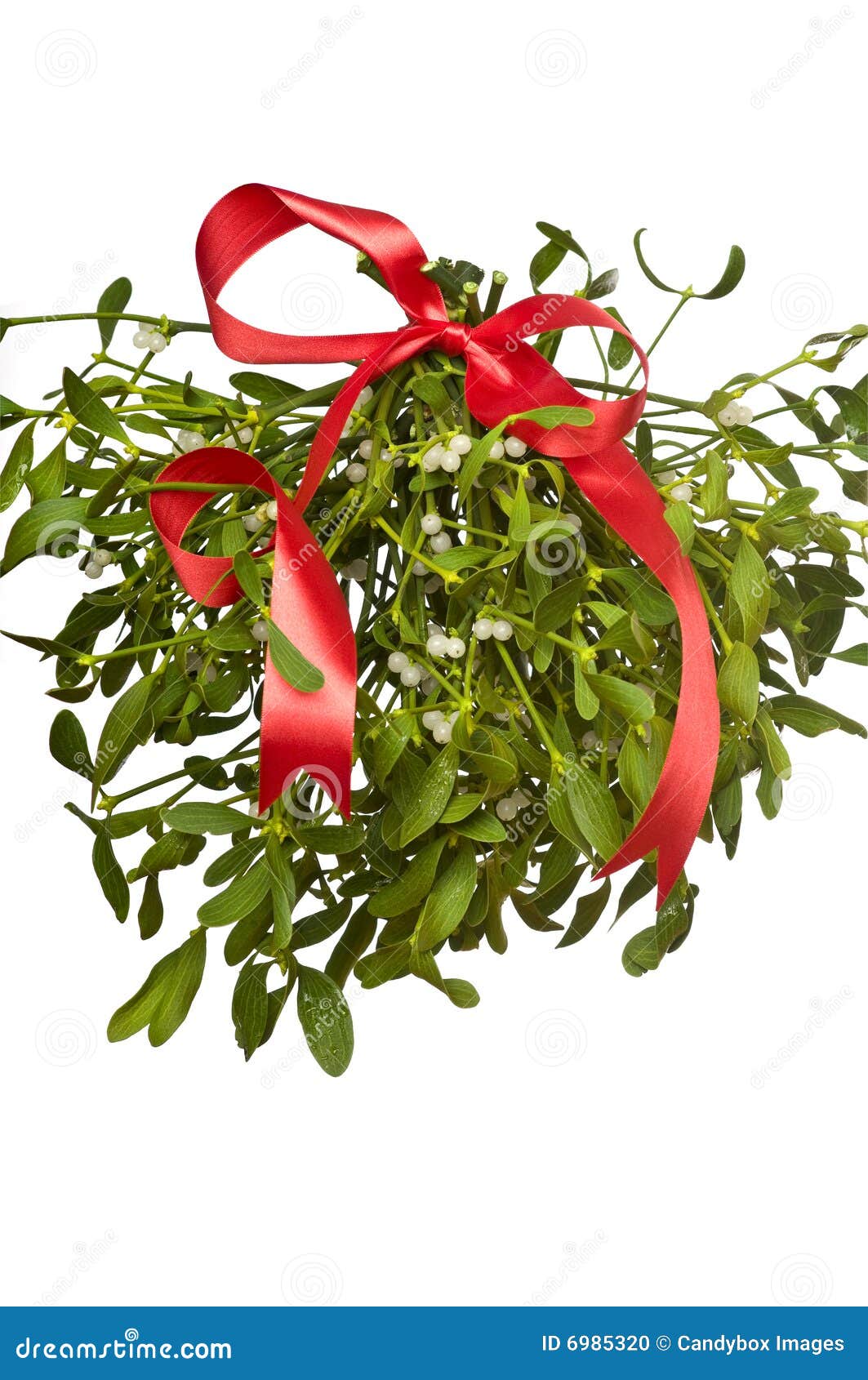 1,817 Mistletoe Ribbon Stock Photos - Free & Royalty-Free Stock Photos ...