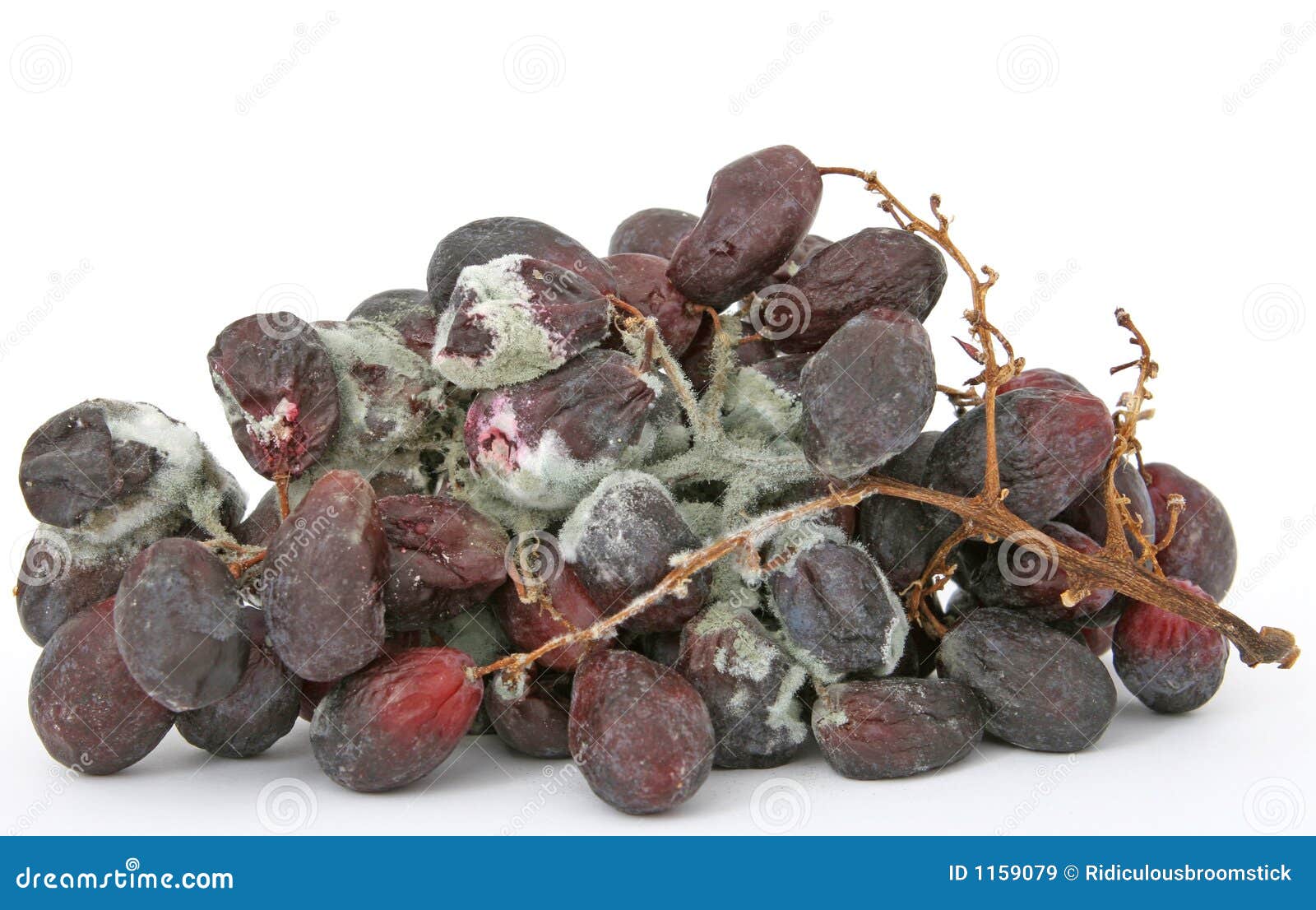 Bunch of mouldy red grapes stock image. Image of grapes - 1159079