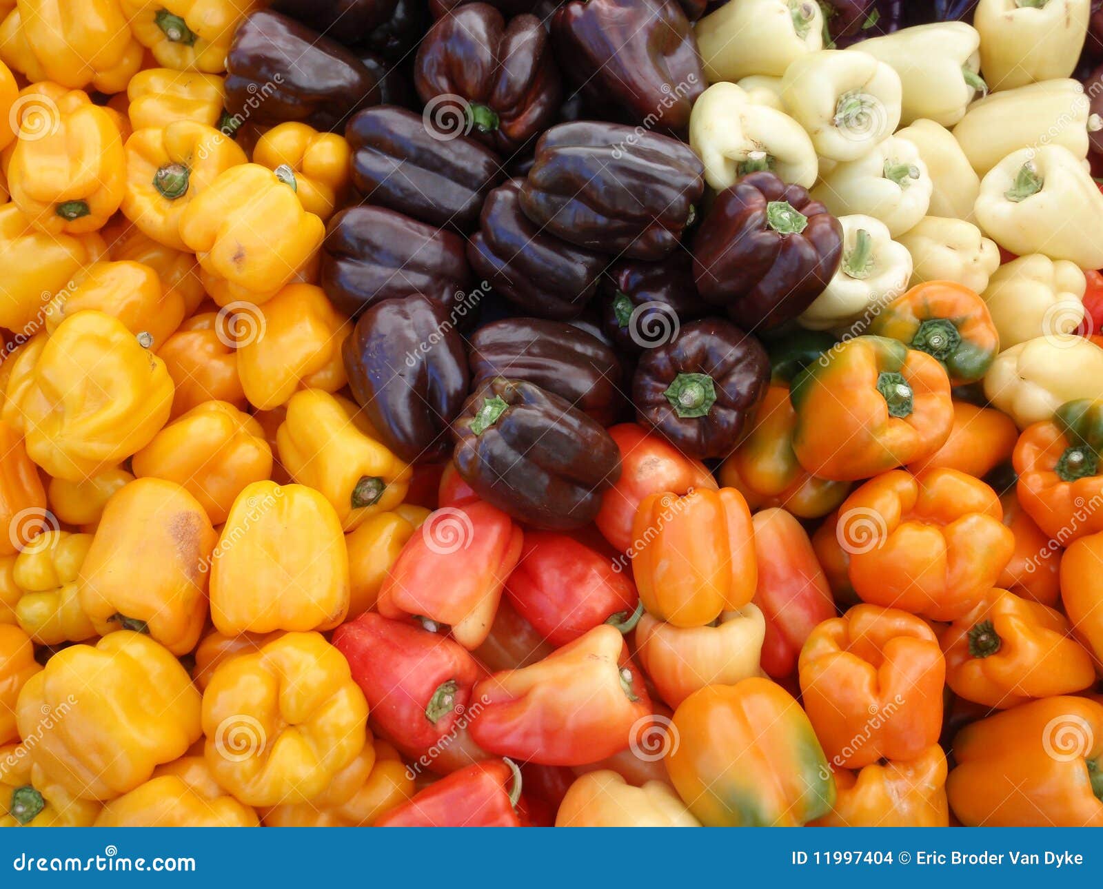 Bunch of Multi-Colored Peppers Stock Photo - Image of market, color ...