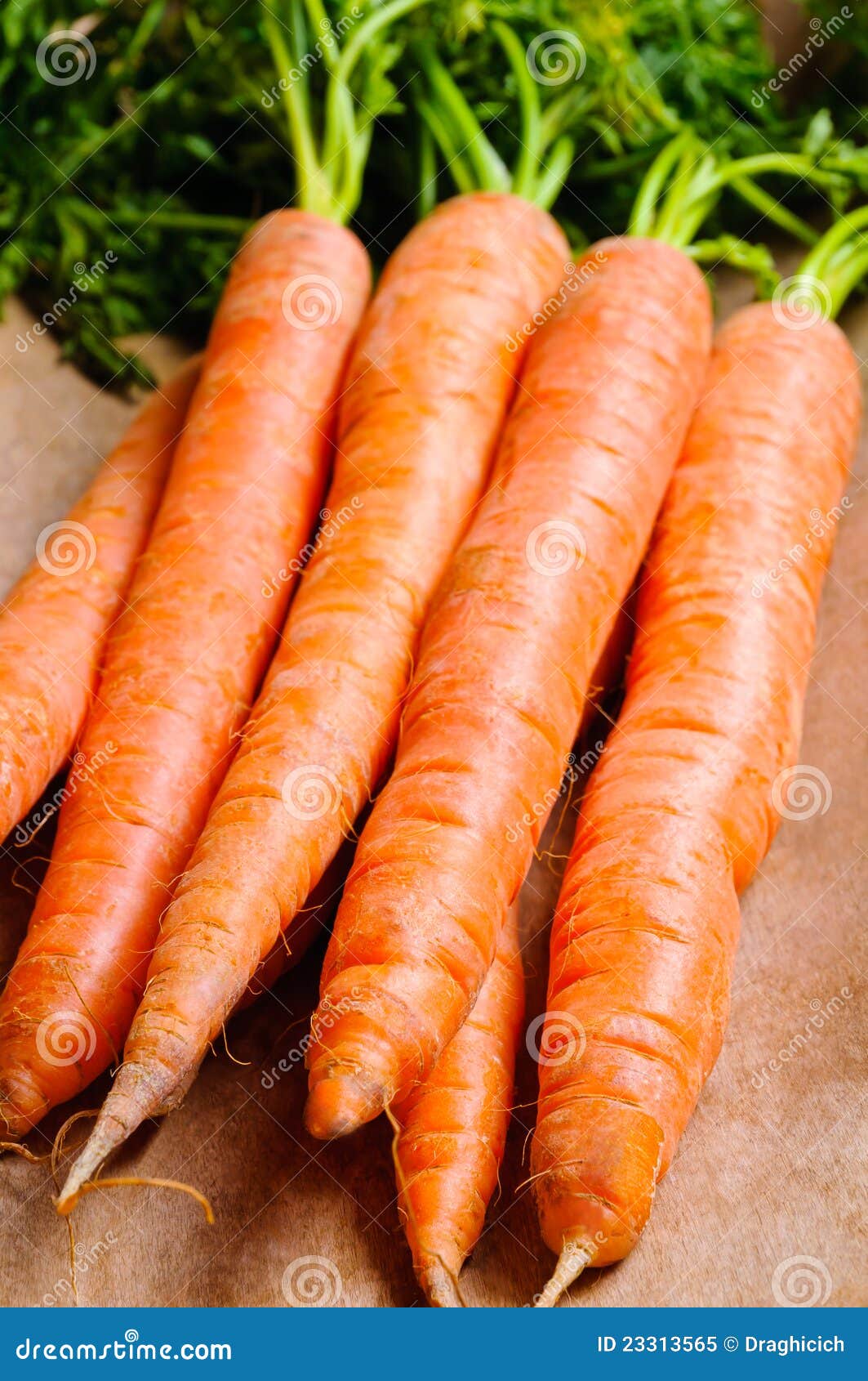 Bunch of natural carrots stock image. Image of vitamin - 23313565