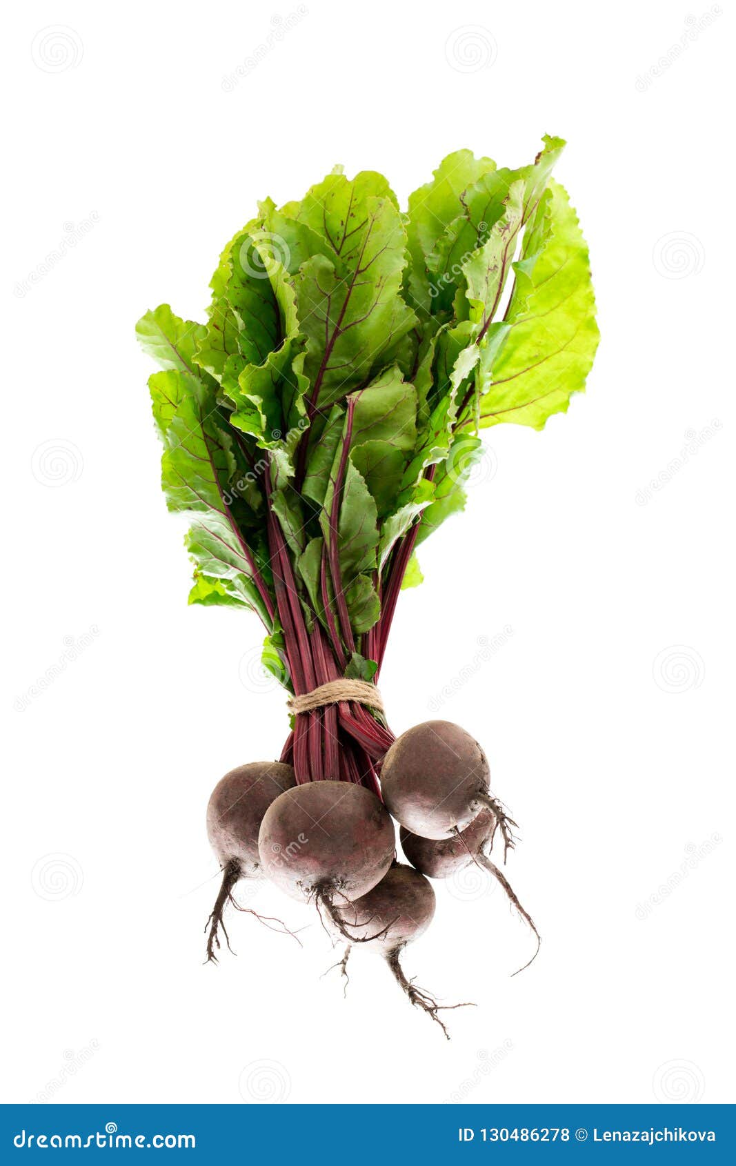 Bunch of New Beetroots Isolated on White Stock Photo - Image of ...