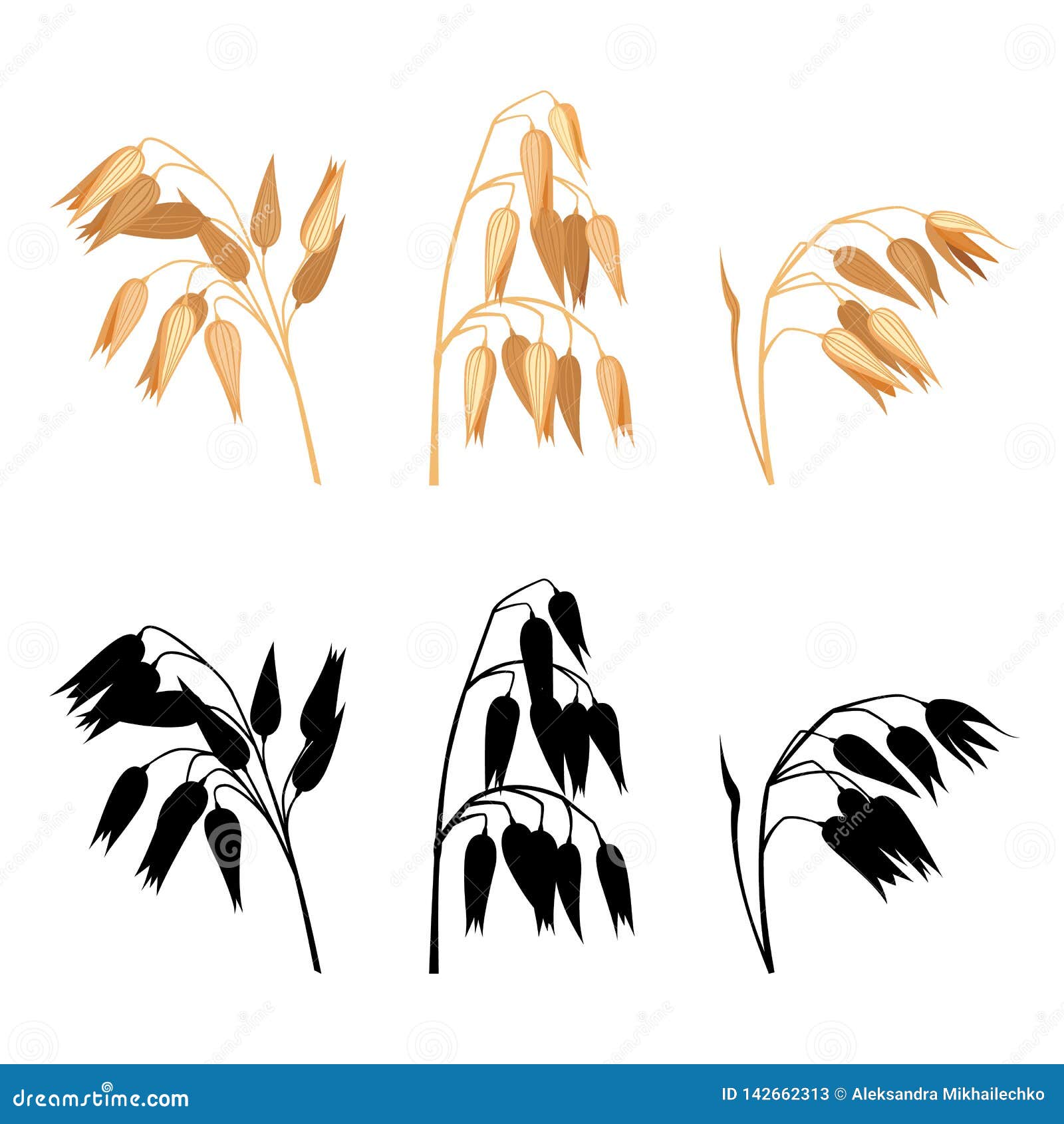 A Bunch Of Oats Flying In The Airon White Background Wde Panoramic ...