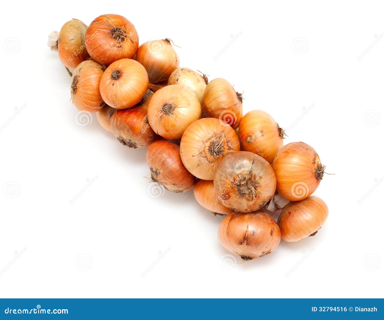 Bunch of onion stock photo. Image of root, onion, bulb - 32794516