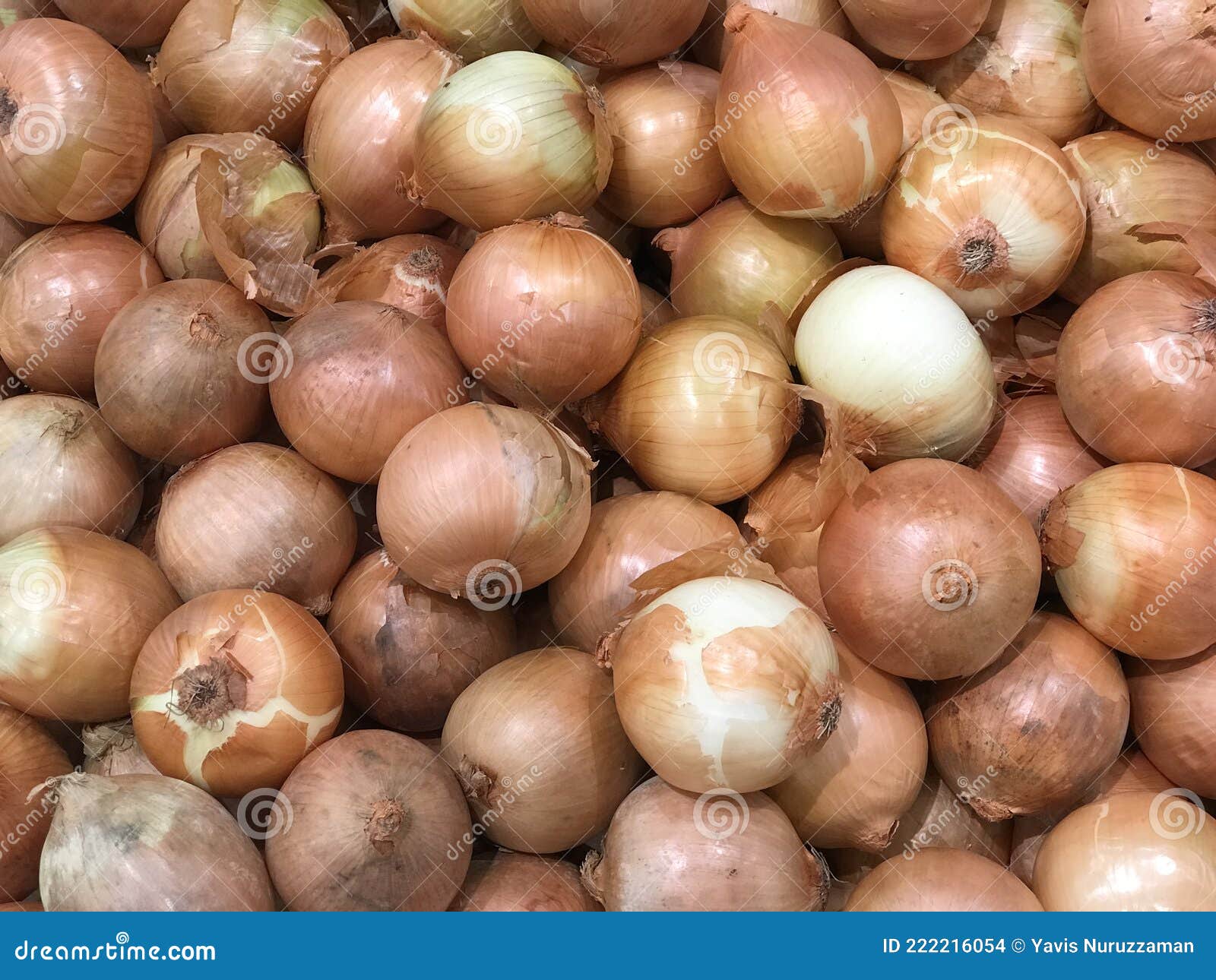 Onion Texture and Background Stock Photo - Image of textures, texture ...