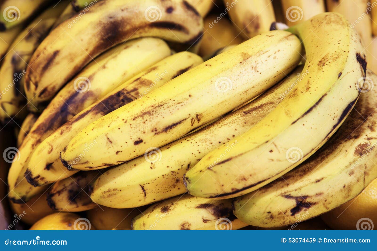 Bunch of Organic Bananas at Market Stall Stock Image - Image of health ...