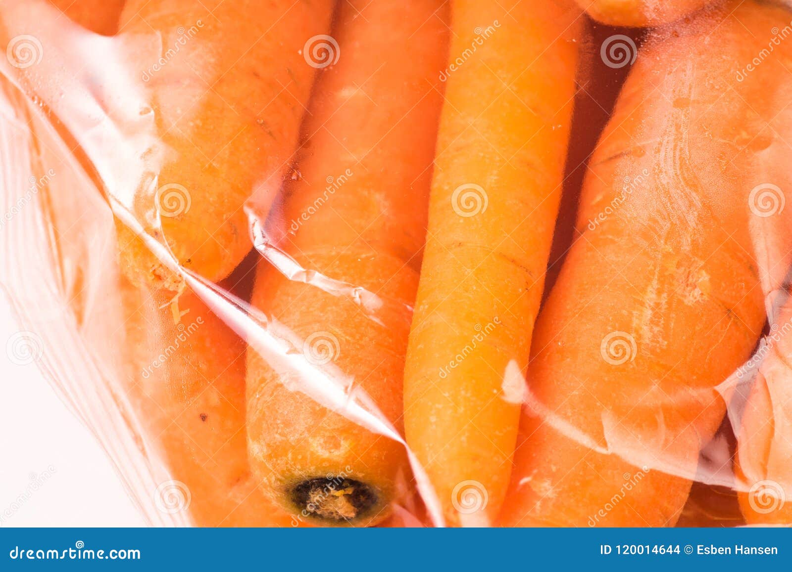 Bunch of organic Carrots stock photo. Image of closeup - 120014644