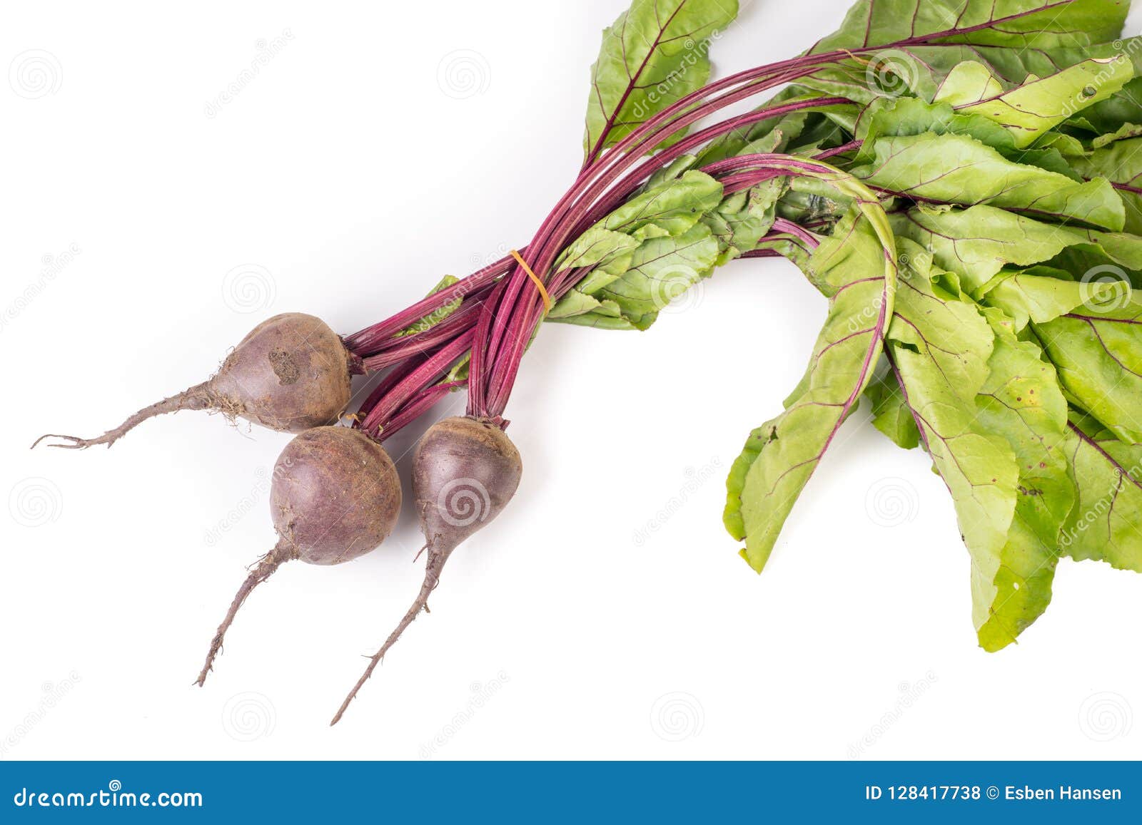 Bunch of Organic Healthy Beetroot with Leaves Isolated Stock Photo ...