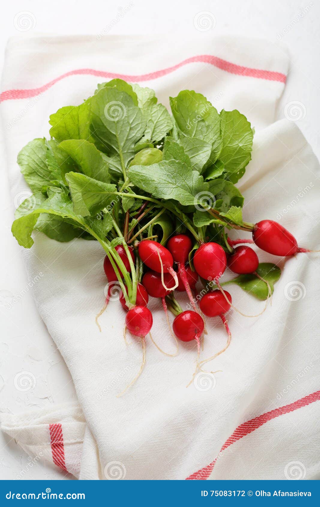Bunch of organic radish stock photo. Image of diet, healthy - 75083172