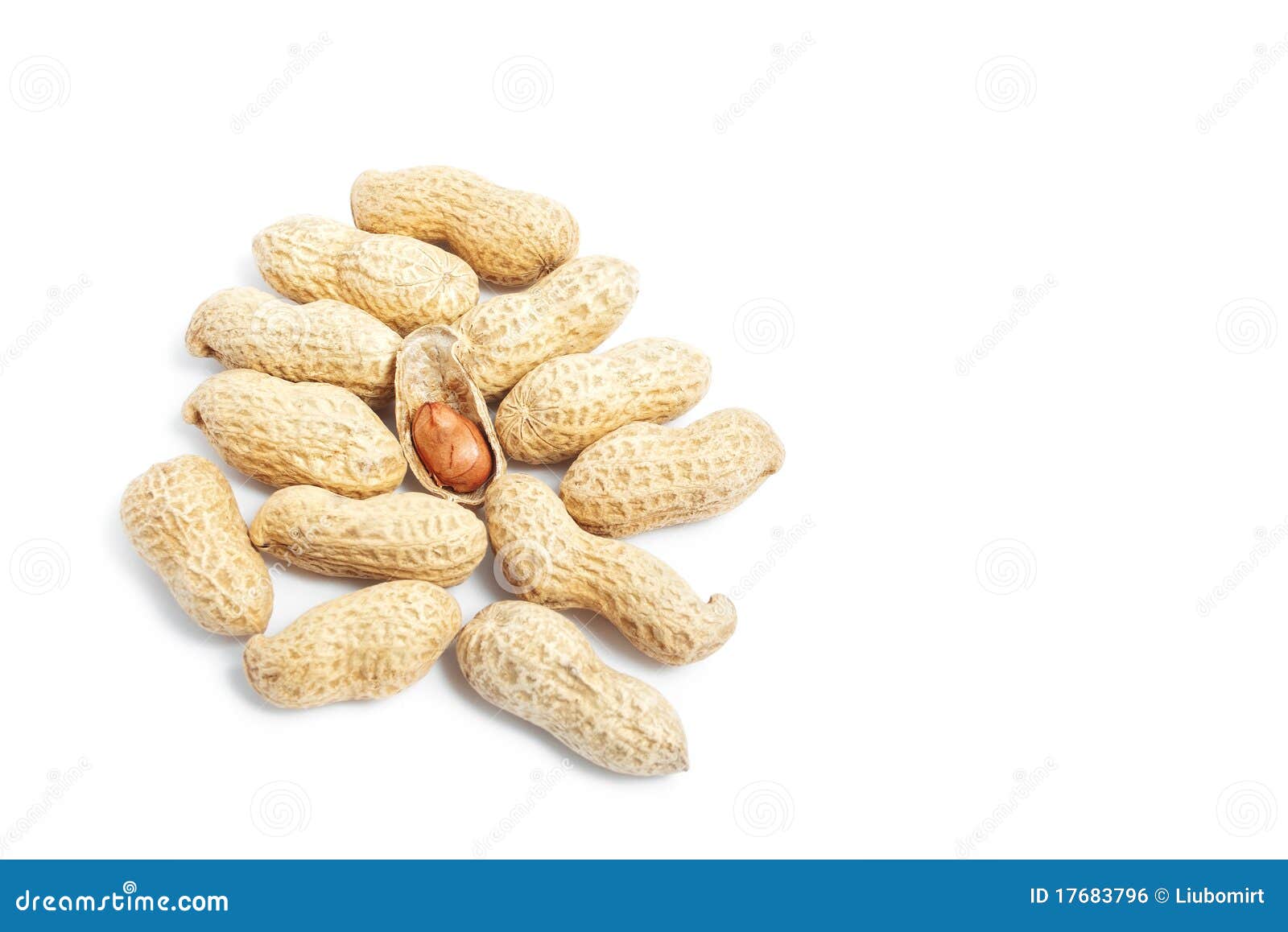 Bunch of peanut shells stock photo. Image of detail, single - 17683796