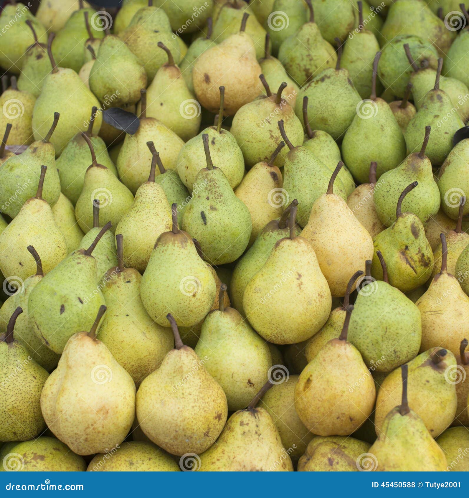 Bunch of pears stock photo. Image of biological, japanese - 45450588