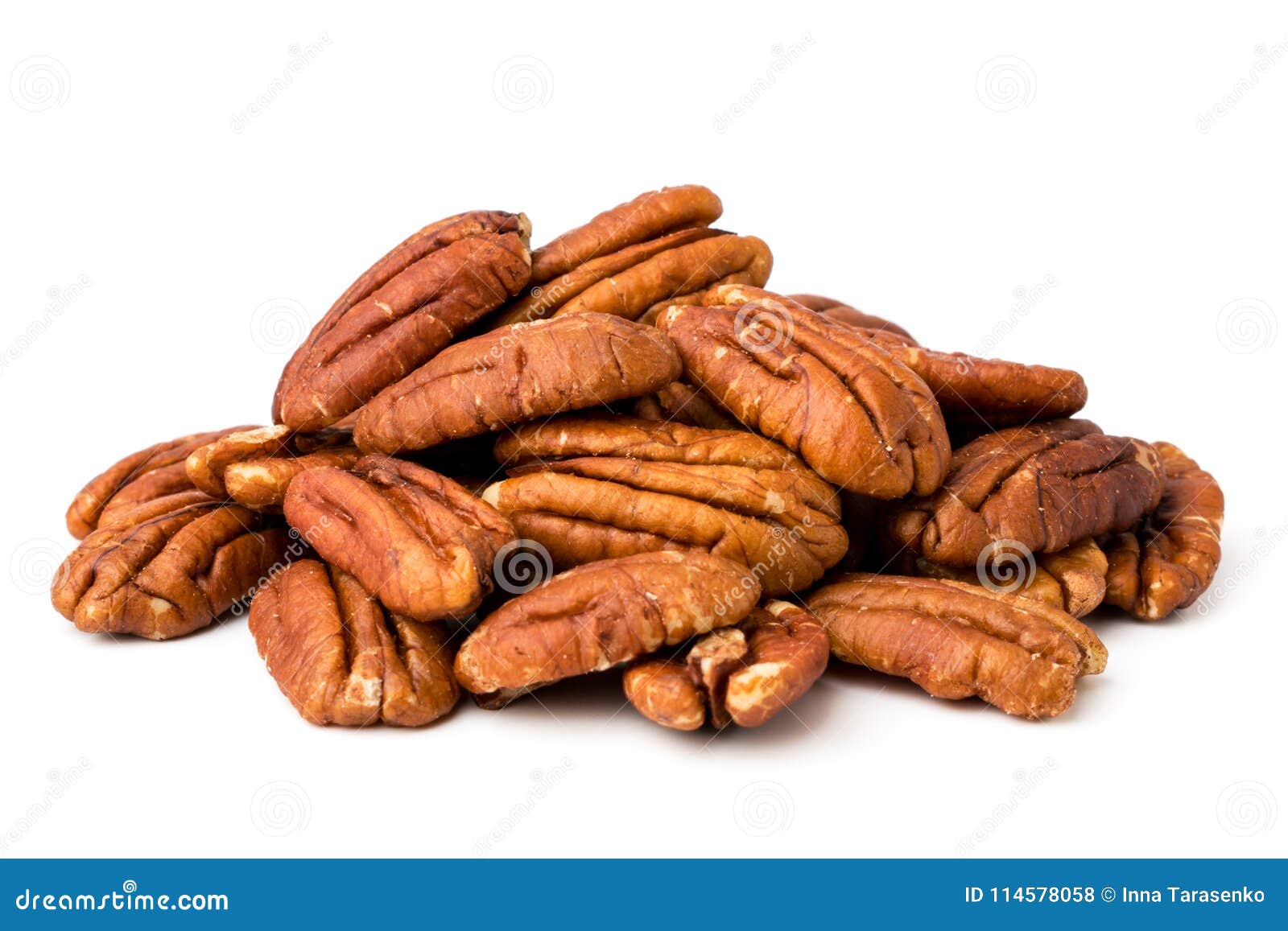 Pecans Stock Image | CartoonDealer.com #3248185