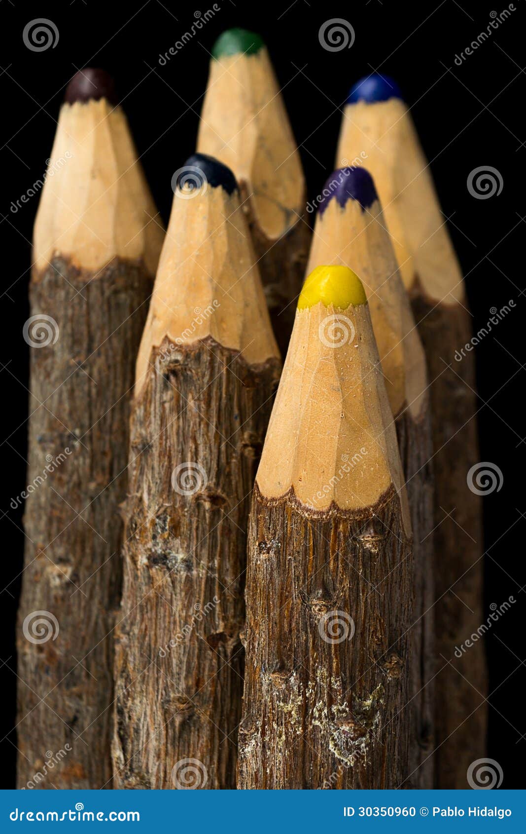 Bunch of Pencils Stylized Tree Branch. on Black Stock Photo - Image of ...