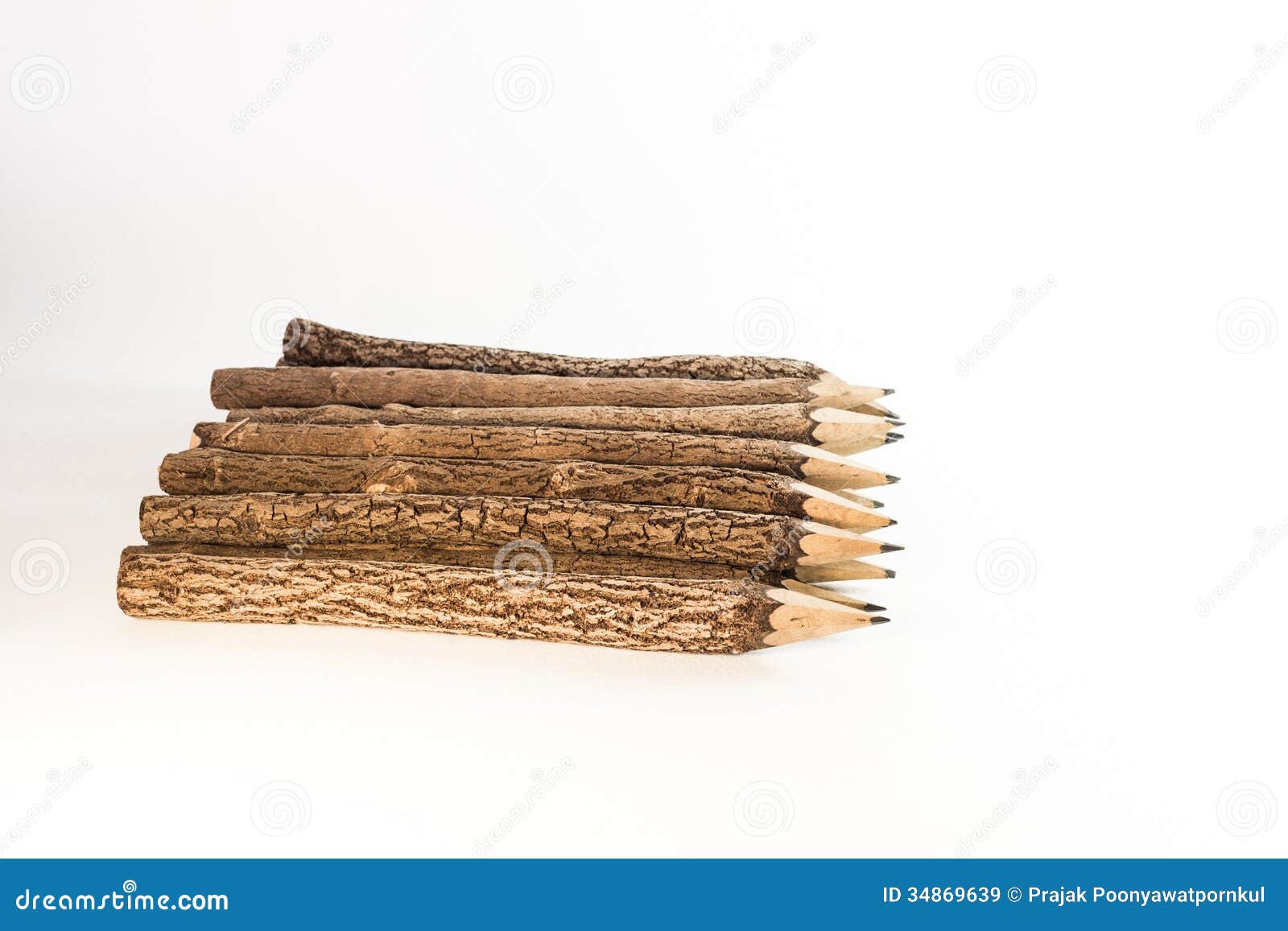 Bunch of Pencils Stylized Tree Branch Stock Image - Image of pencil ...