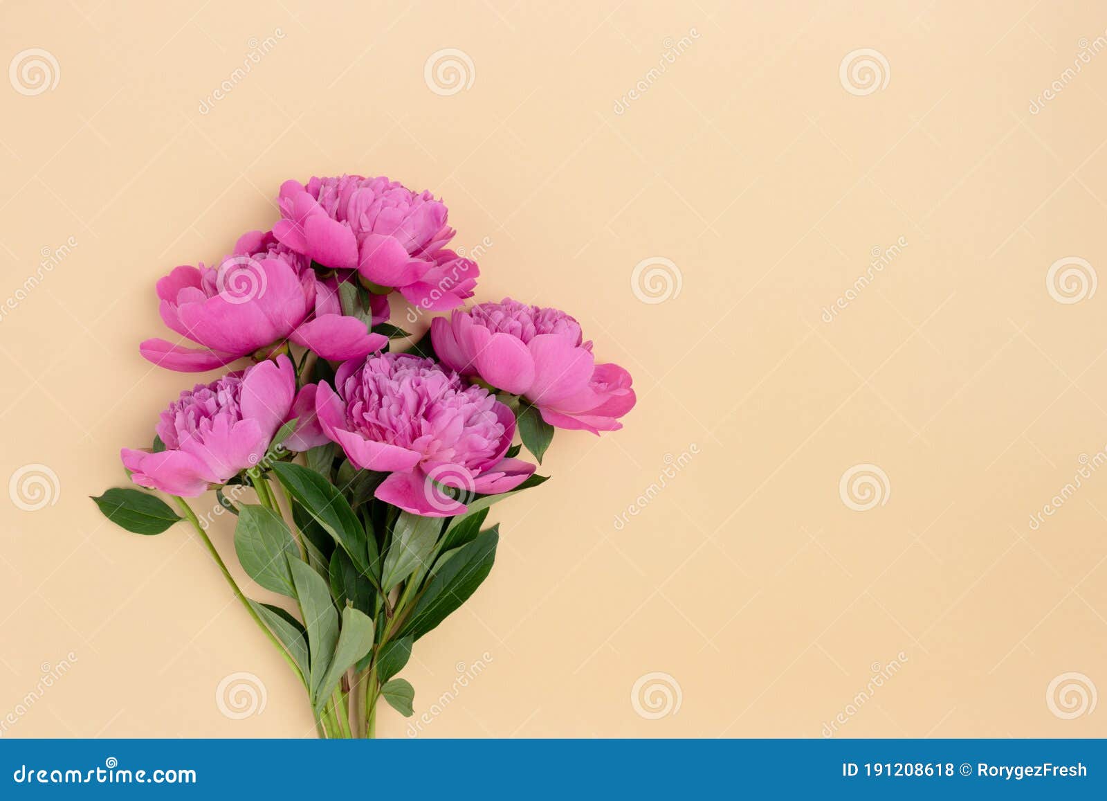Bunch of Peonies on a Beige Background Stock Photo - Image of mother ...