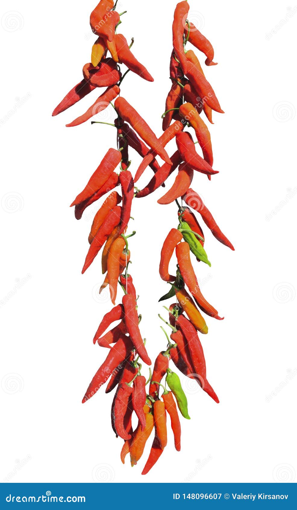Bunch of peppers chili 8 stock image. Image of chili - 148096607