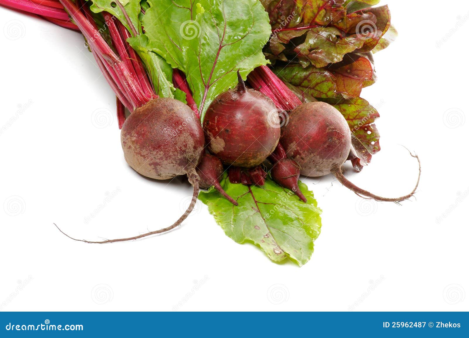 Bunch of Perfect Raw Young Beets and Beet Tops Stock Image - Image of ...