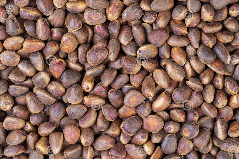 A Bunch of Pine Nuts in the Shell Stock Image - Image of vegetarian ...