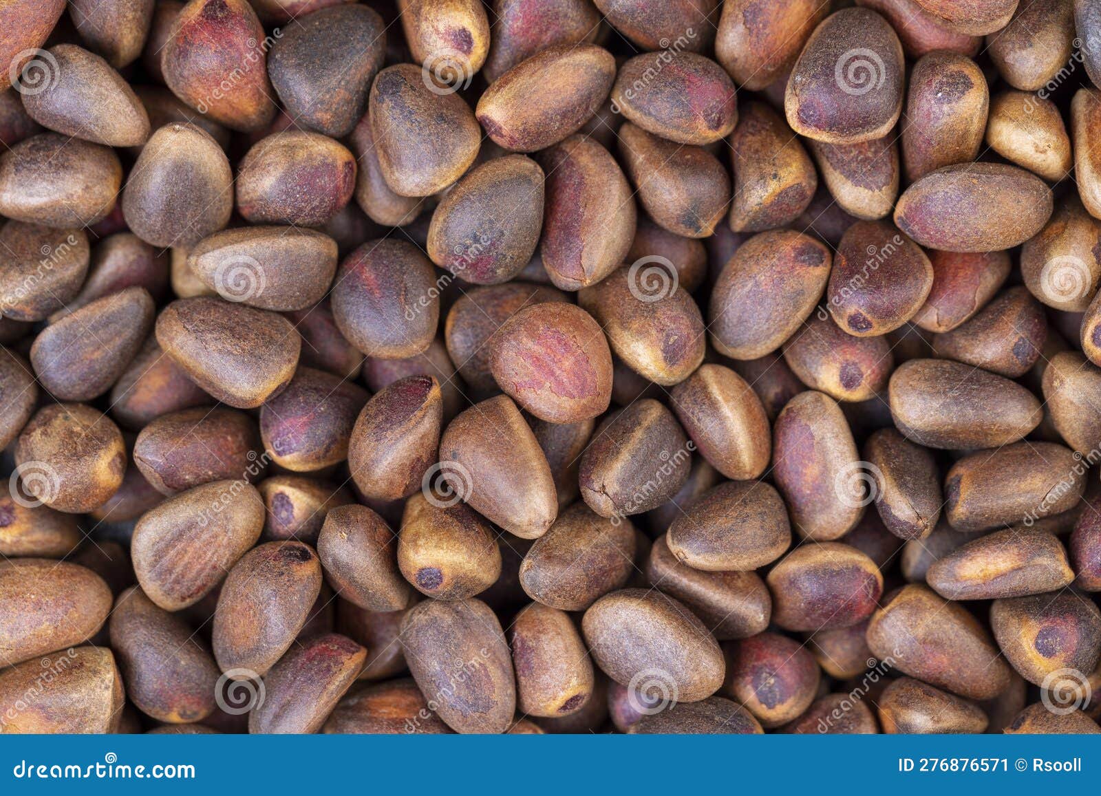 A Bunch of Pine Nuts in the Shell Stock Image - Image of heap ...