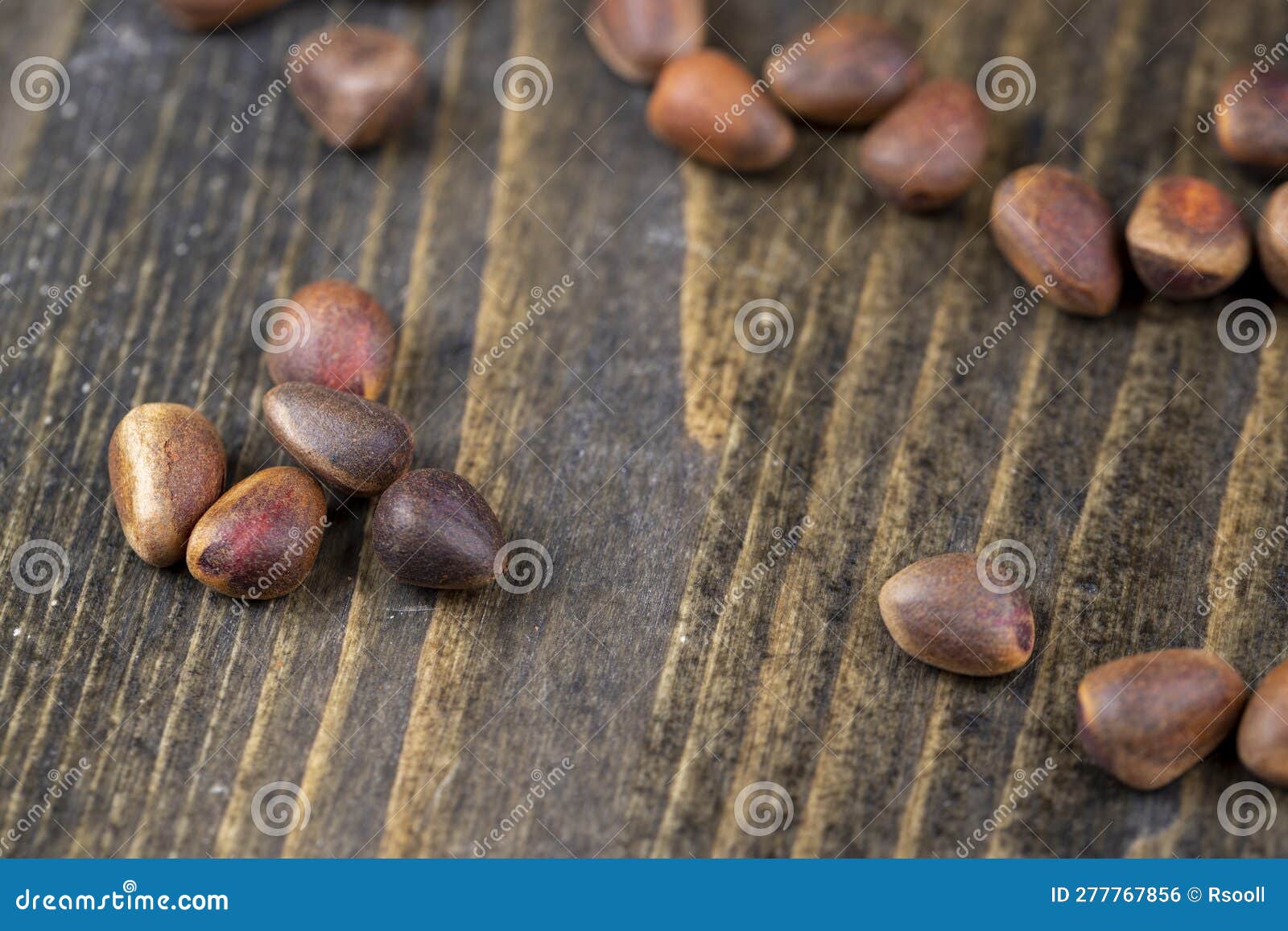 A Bunch of Pine Nuts in the Shell Stock Photo - Image of cedar, nuts ...