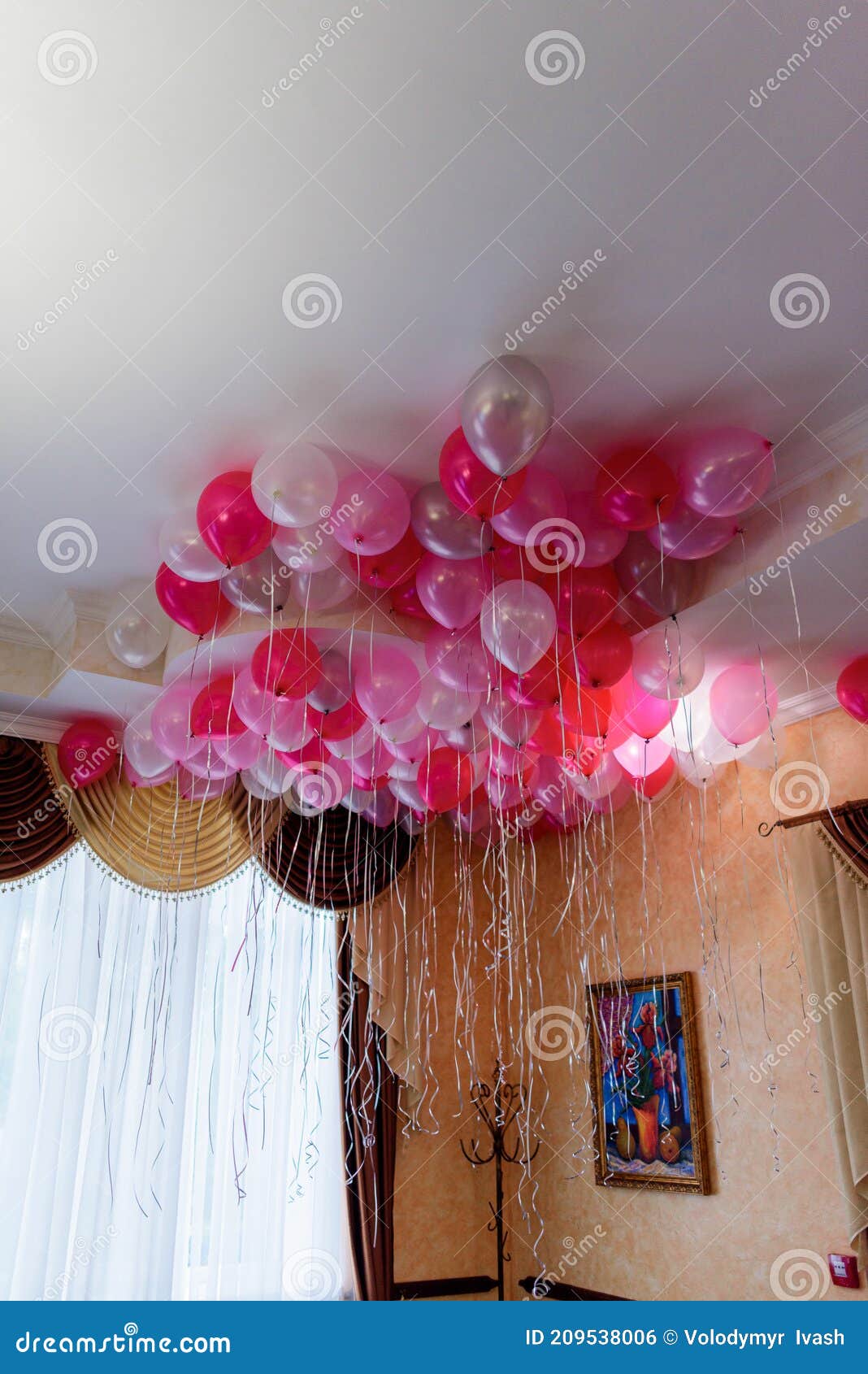 Bunch of Pink Balloons Hangs Under the White Ceiling Stock Photo ...