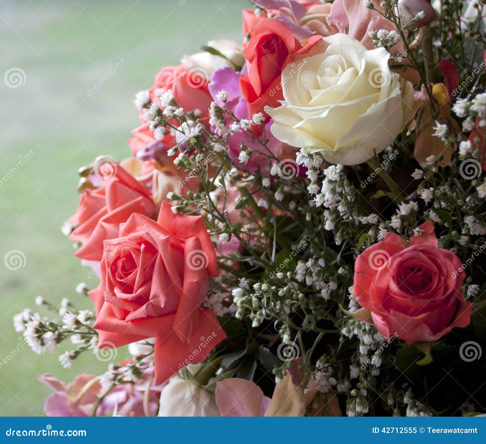 Bunch of pink rose flowers stock image. Image of blooming - 42712555