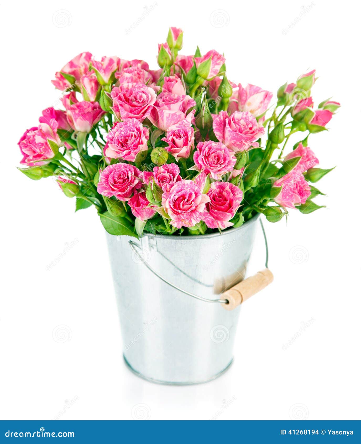 Bunch pink roses in bucket stock photo. Image of bunch - 41268194