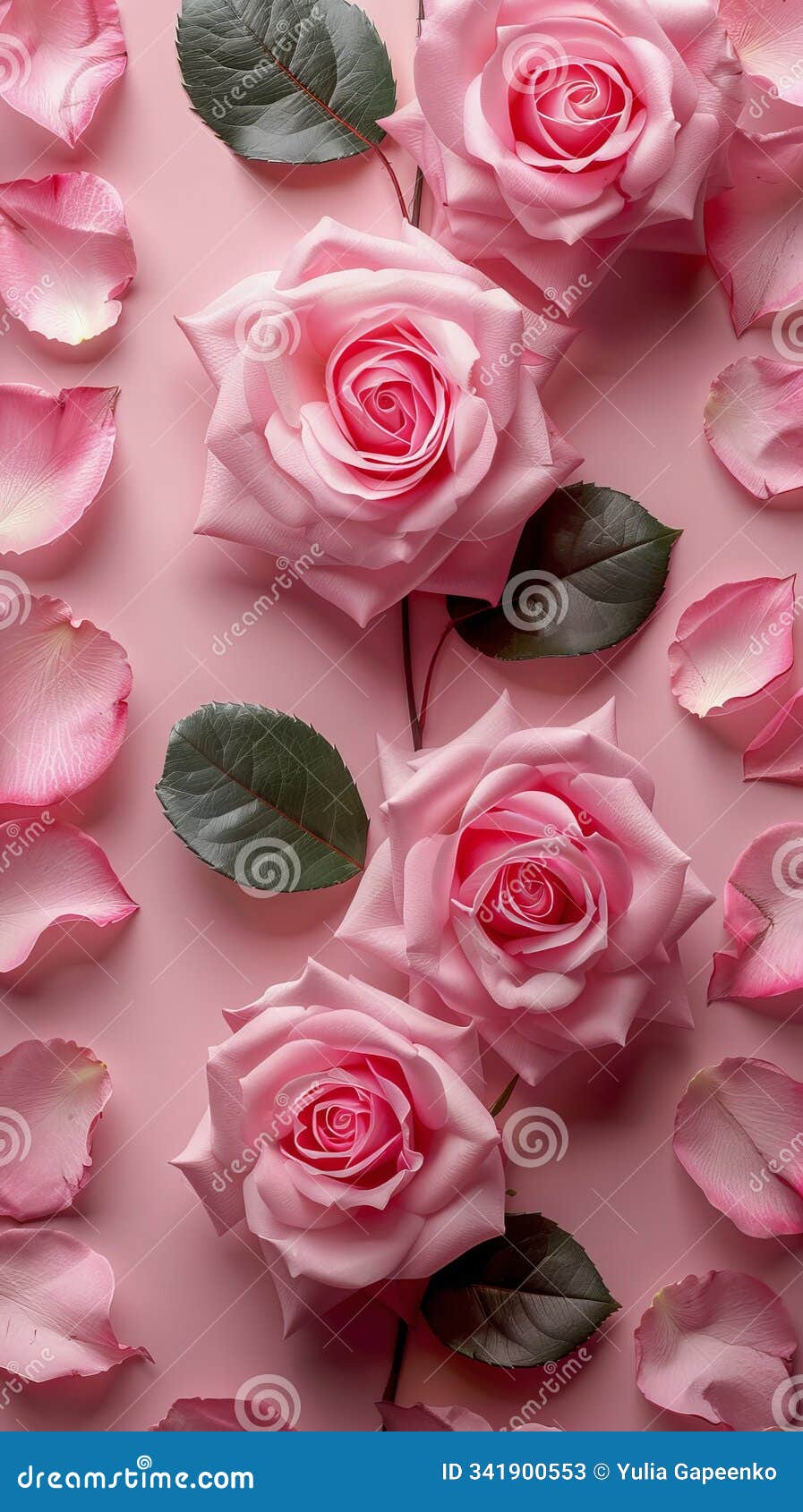 Bunch of Pink Roses on Pink Background Stock Image - Image of soft ...