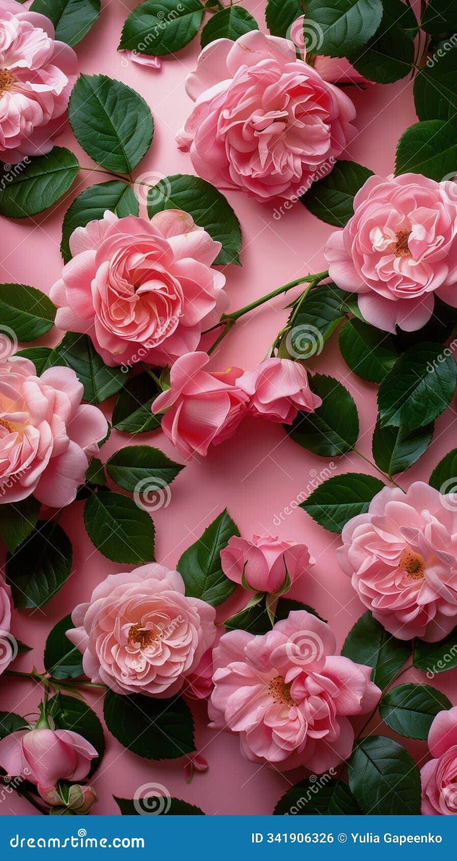 Bunch of Pink Roses on Pink Background Stock Photo - Image of pink ...