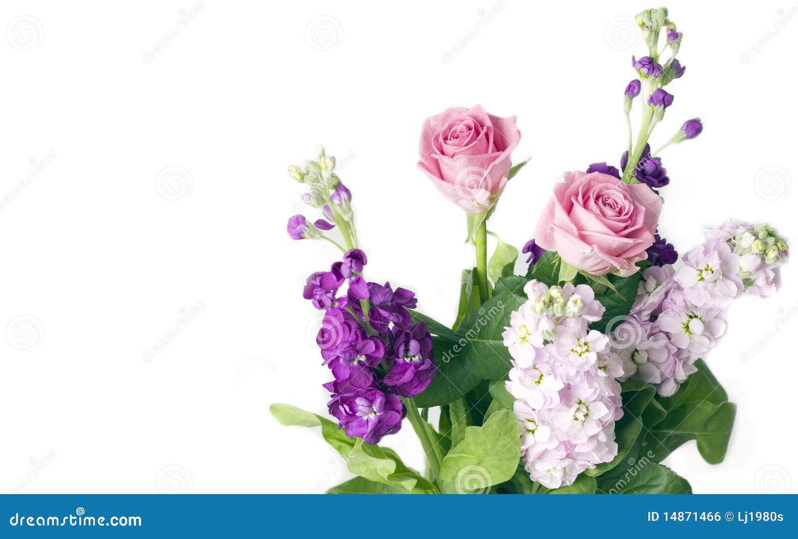 Bunch of Pink Roses and Stocks Stock Photo - Image of nature, special ...