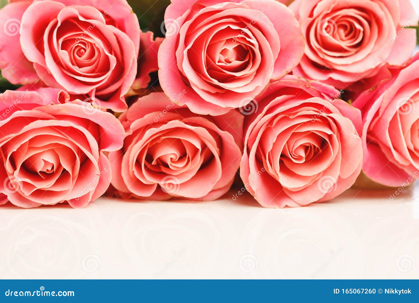 Bunch of Pink Roses, White Background Stock Photo - Image of flowers ...