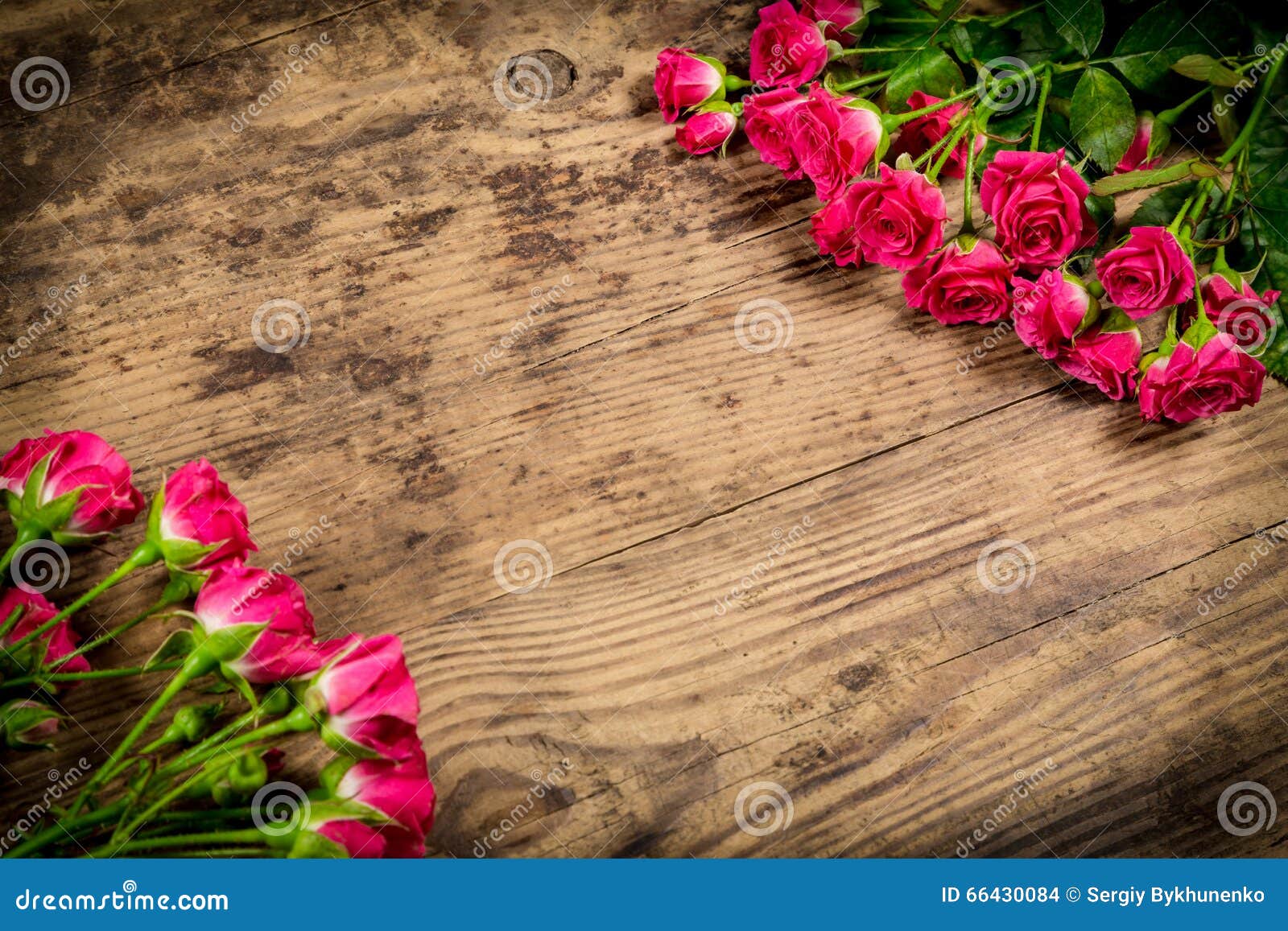 Bunch of Pink Roses on Wood Background Stock Photo - Image of blank ...
