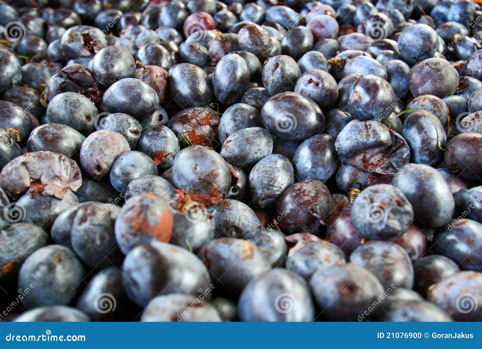 A bunch of plums stock photo. Image of strong, drink - 21076900