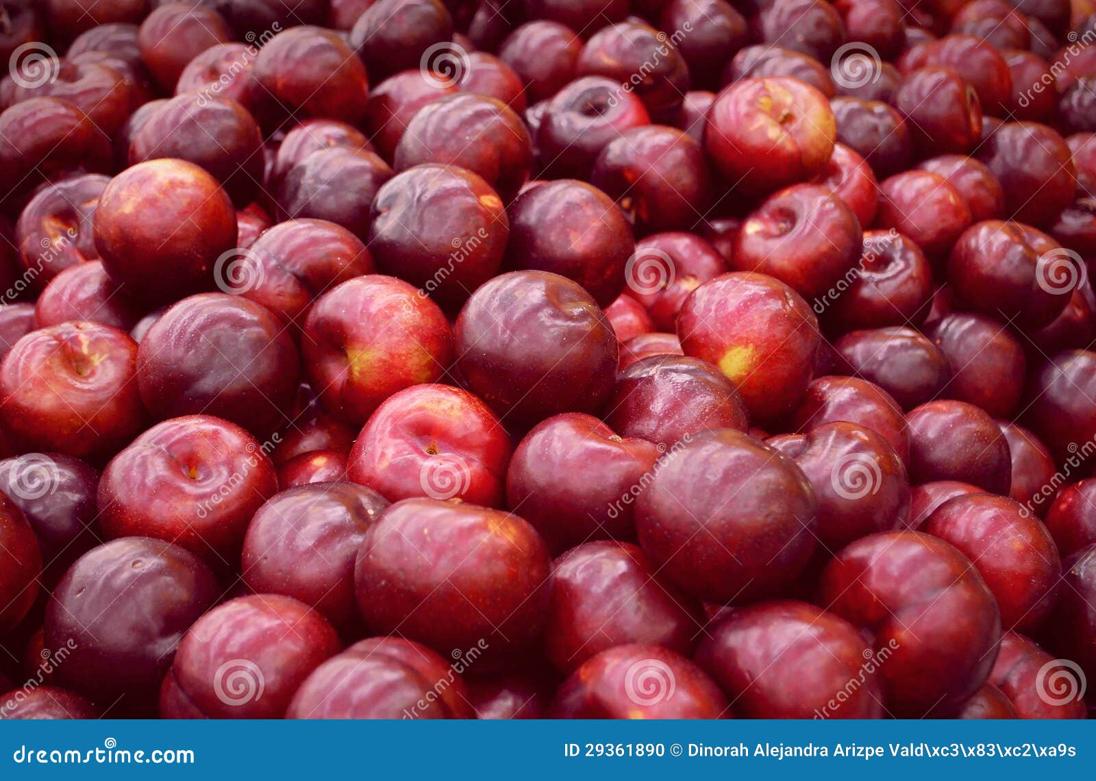 Bunch of plums stock photo. Image of fruit, nectarine - 29361890