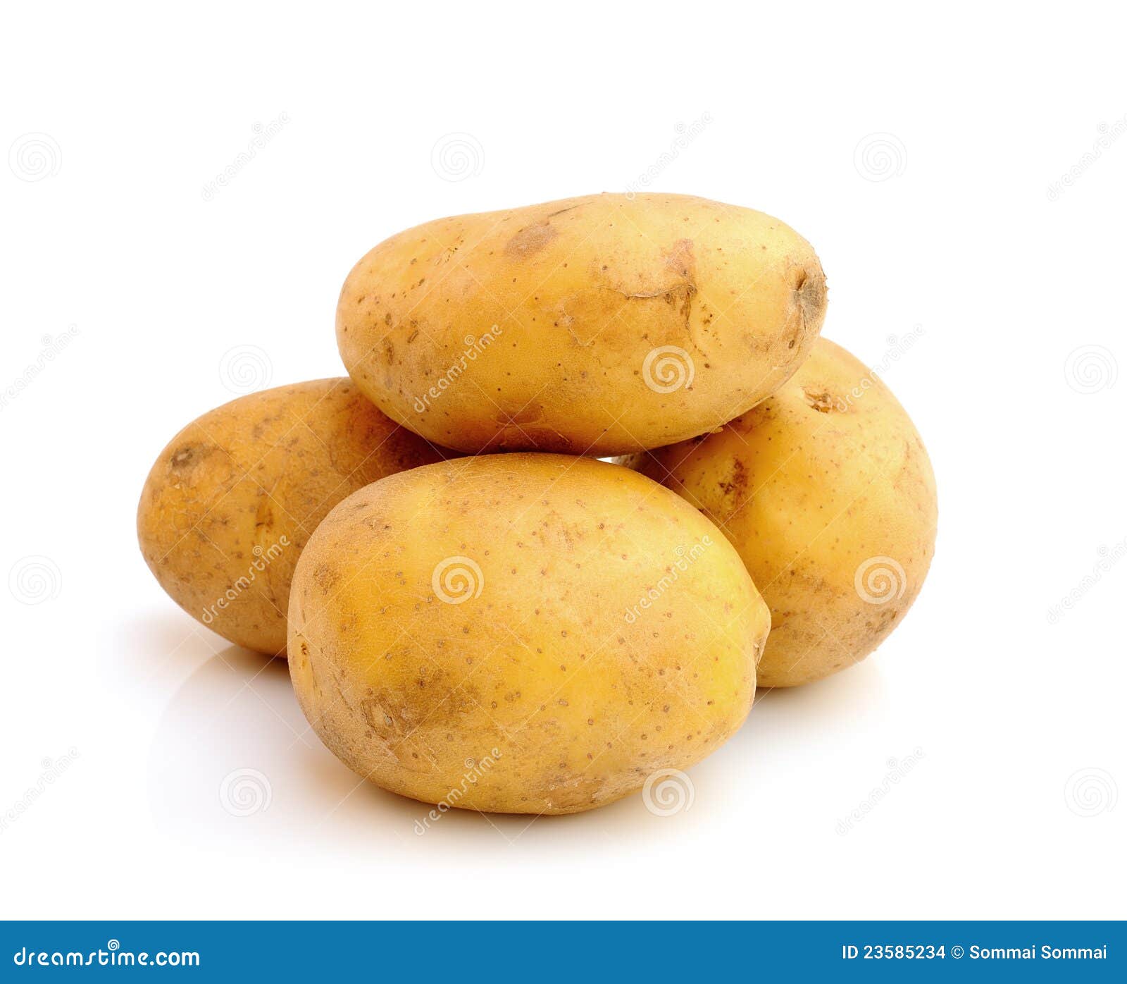 Bunch of potatoes stock photo. Image of potato, harvest - 23585234