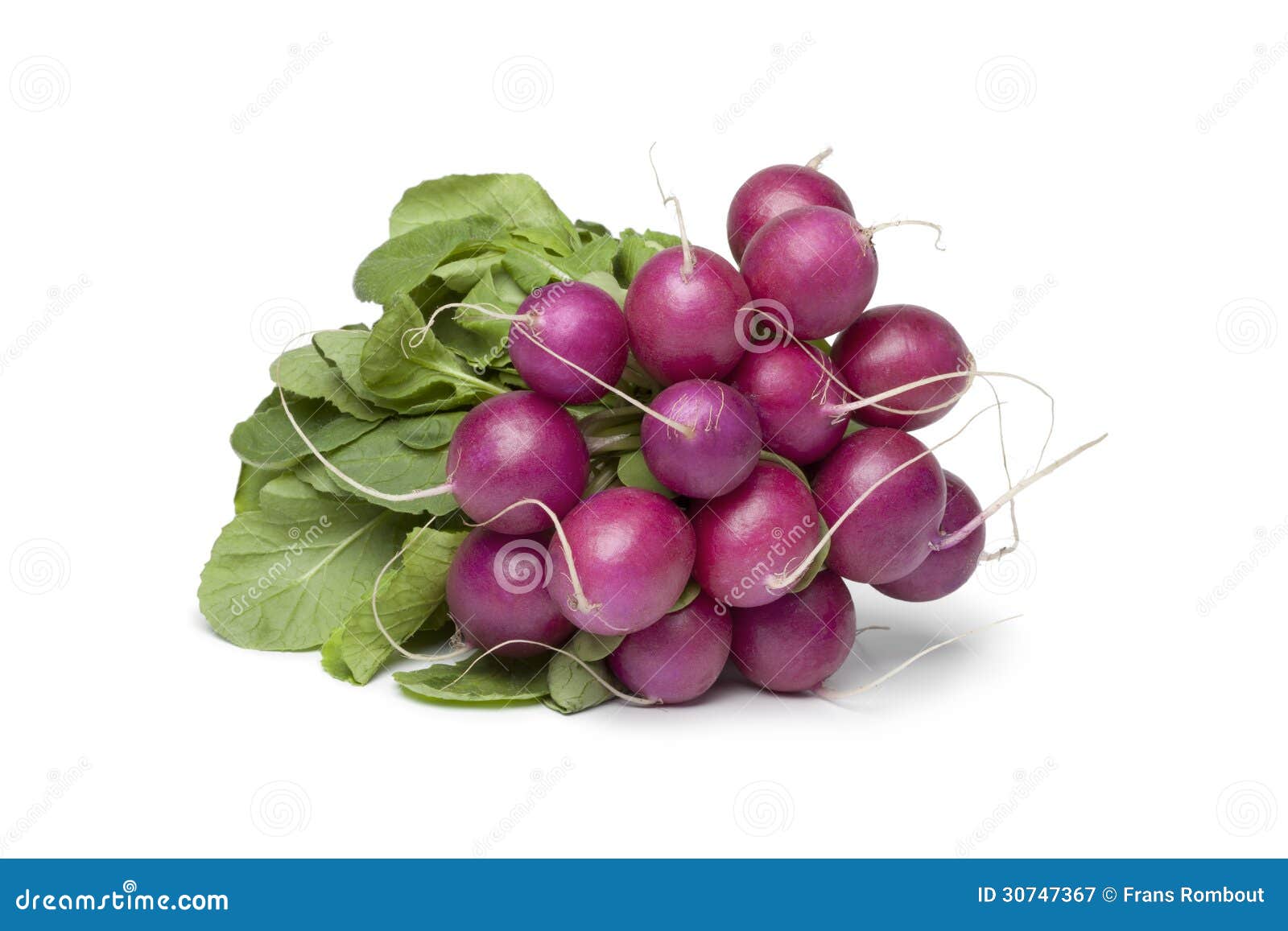Bunch of purple Radish stock image. Image of market, purple - 30747367