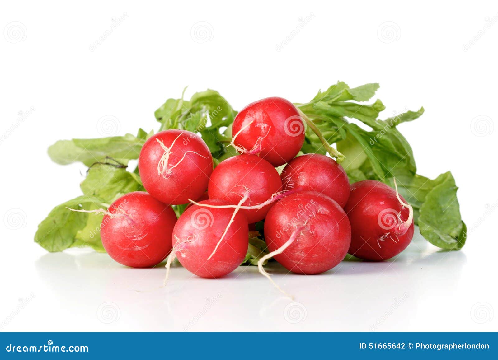 Bunch of Raddish - Studio Shot Stock Photo - Image of farmer, closeup ...