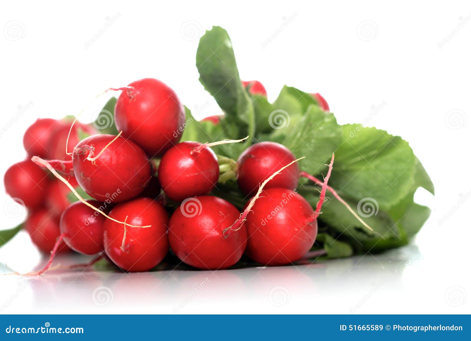 Bunch of Raddish on White Background Stock Image - Image of ripe, leaf ...