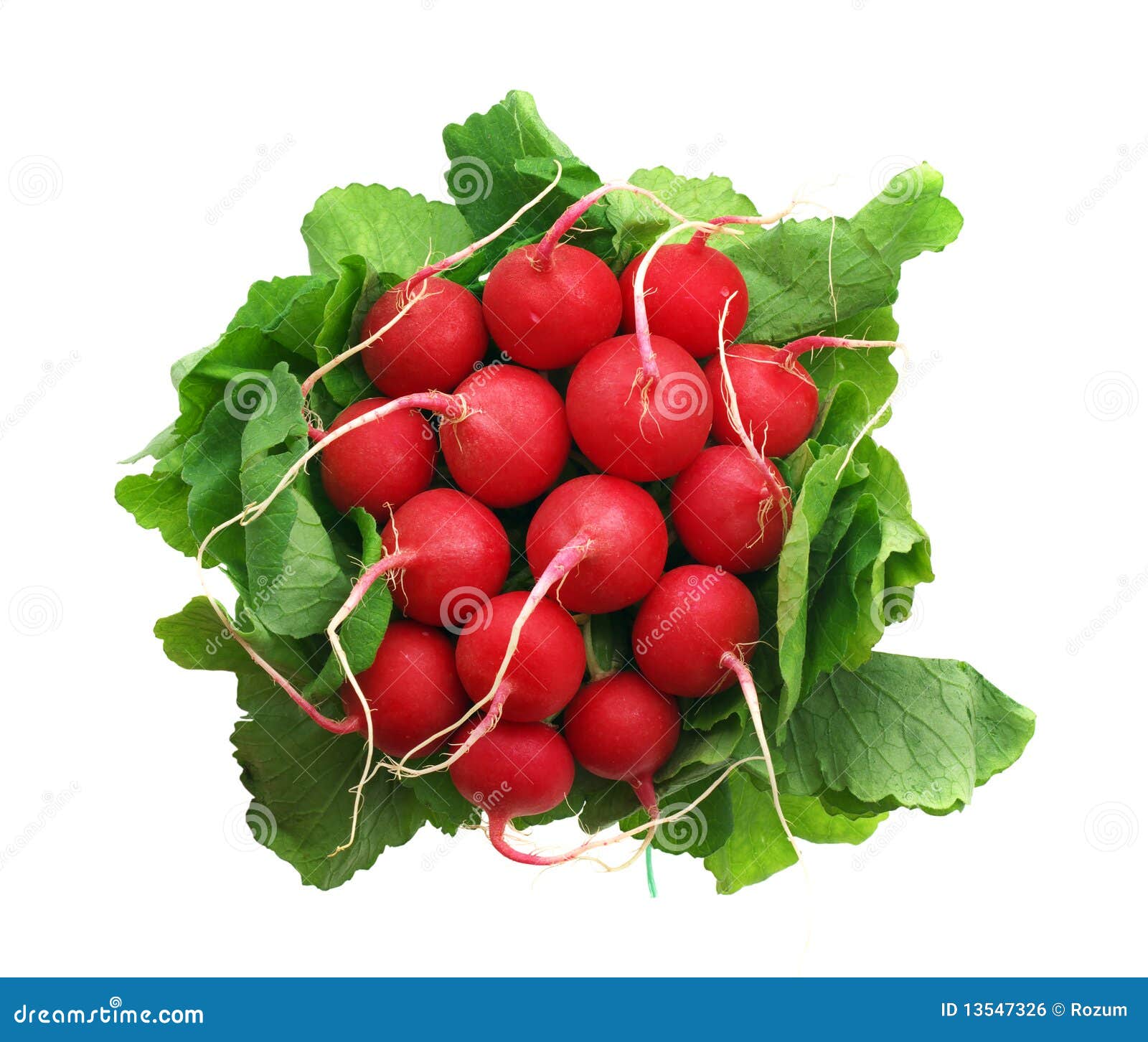 Bunch of radish stock photo. Image of closeup, natural - 13547326