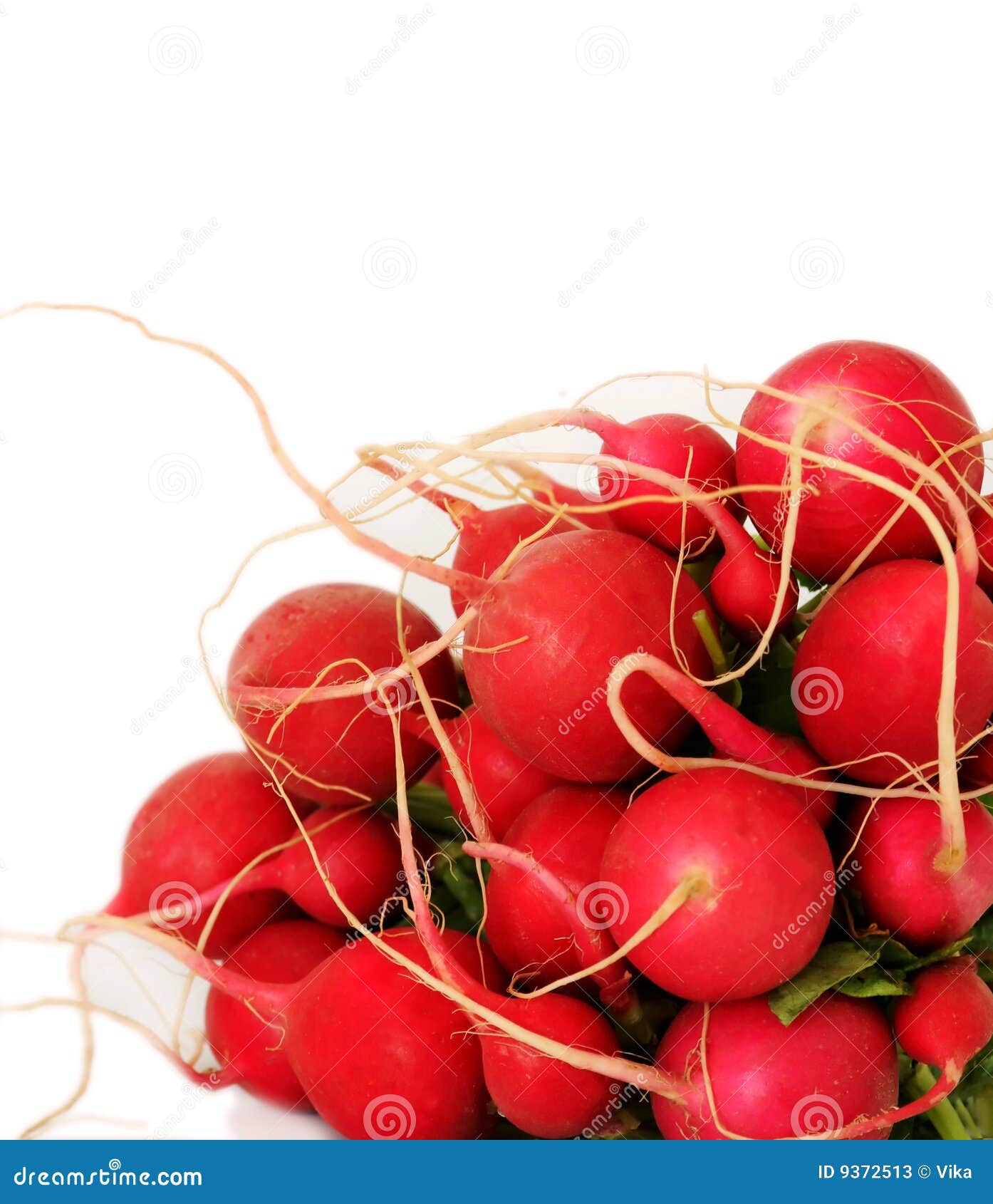 Bunch of radish stock image. Image of organic, ingredients - 9372513