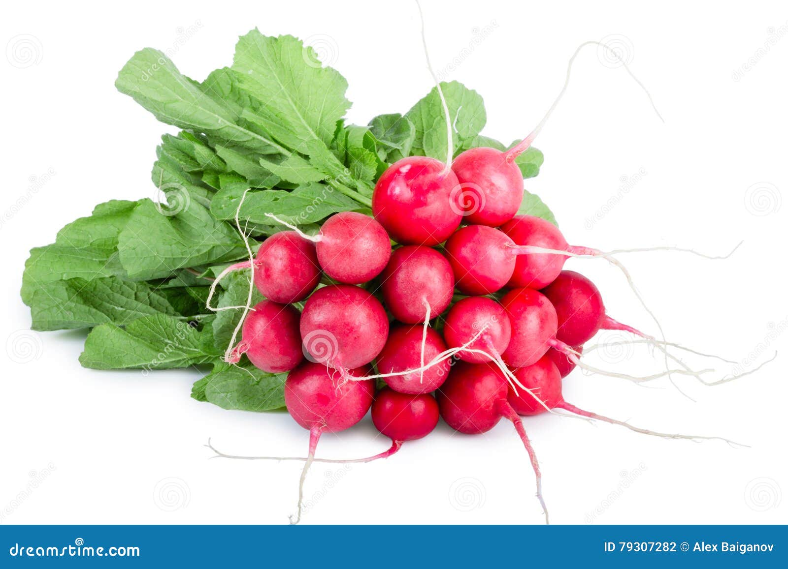 Bunch of radish stock photo. Image of vegetarian, salad - 79307282